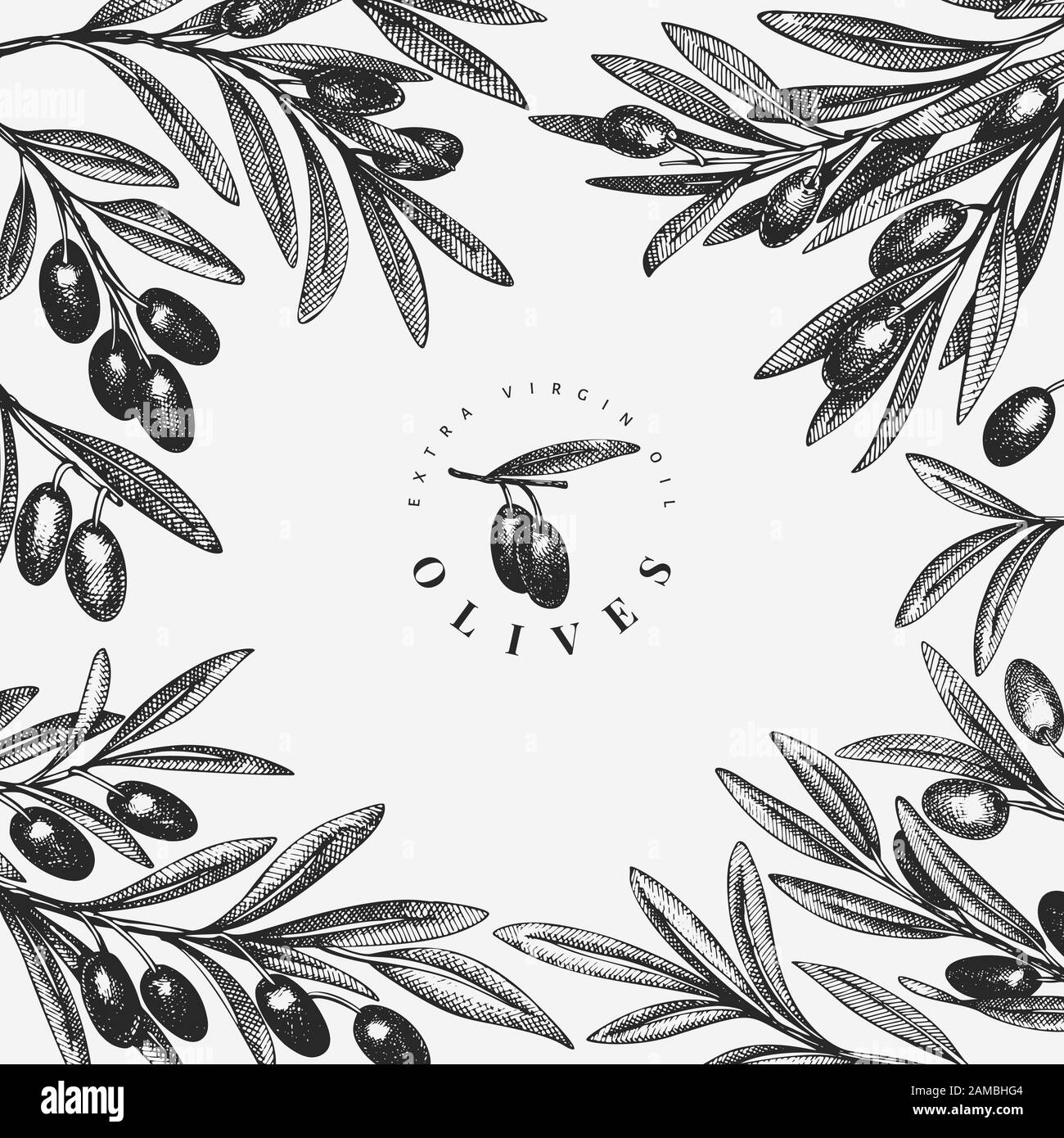 Olive branch design template. Hand drawn vector food illustration ...