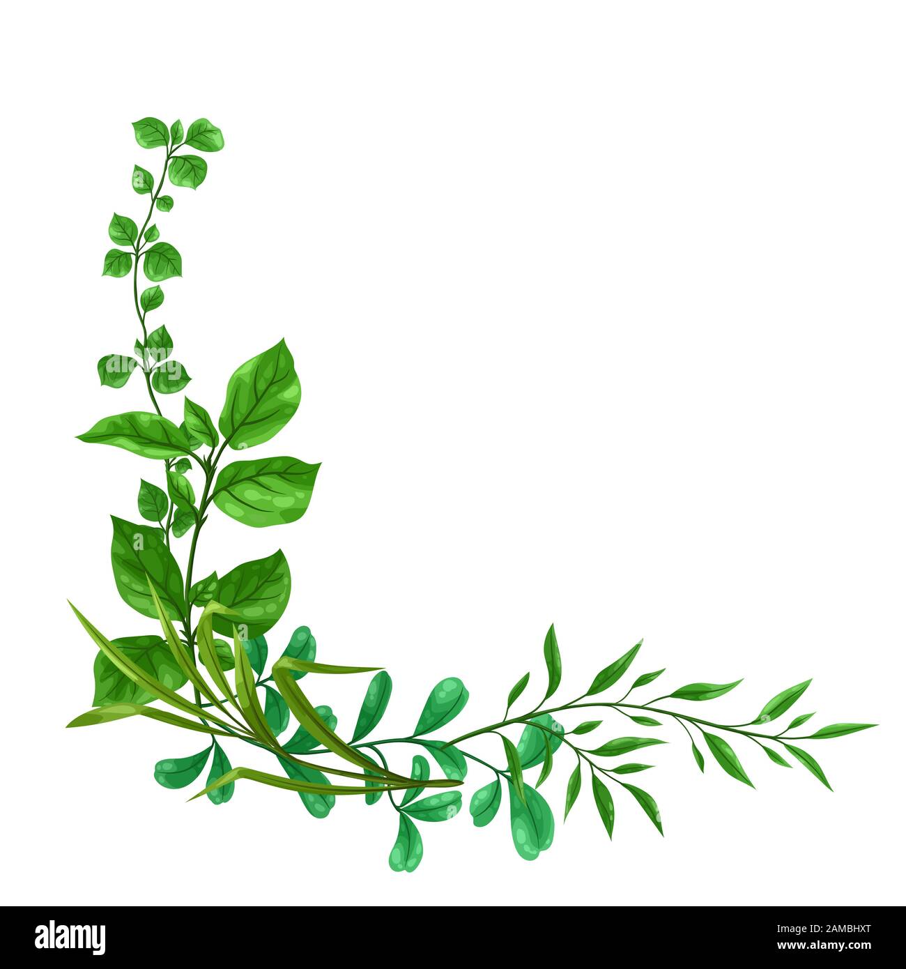 Background of sprigs with green leaves Stock Vector Image & Art - Alamy