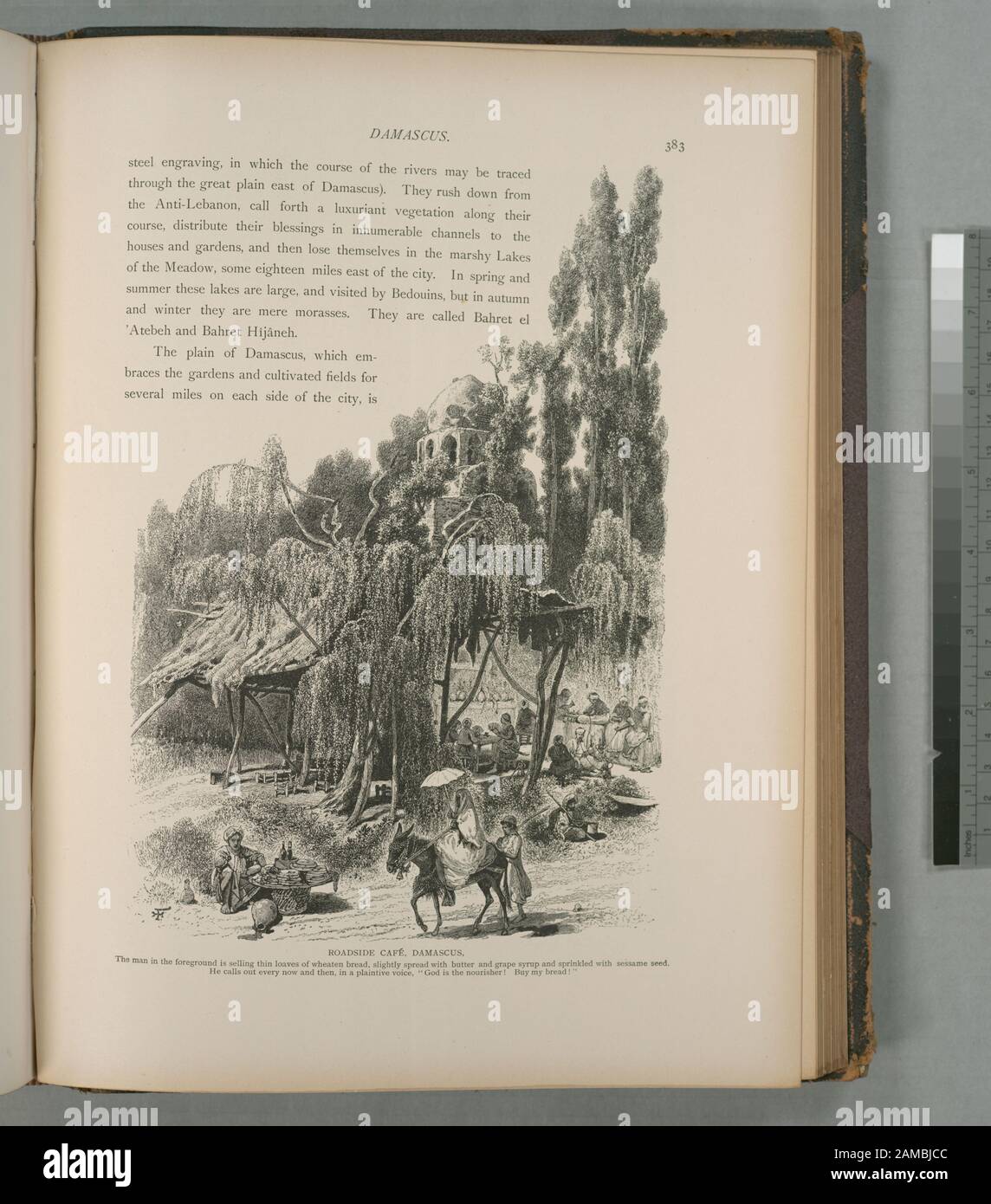 Plaintive calls hi-res stock photography and images - Alamy