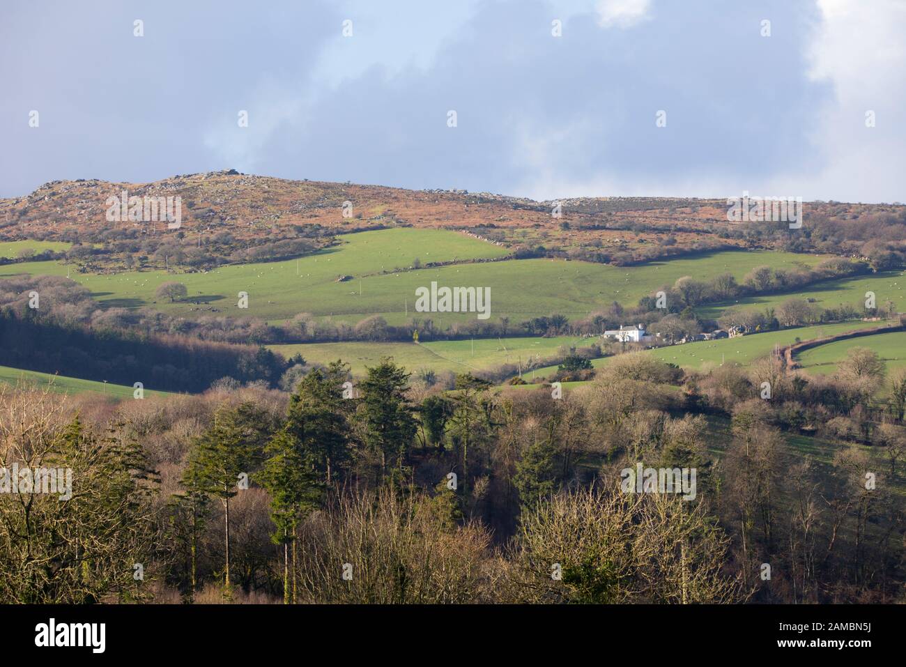 Bodmin Moor view in East Cornwall Stock Photo - Alamy