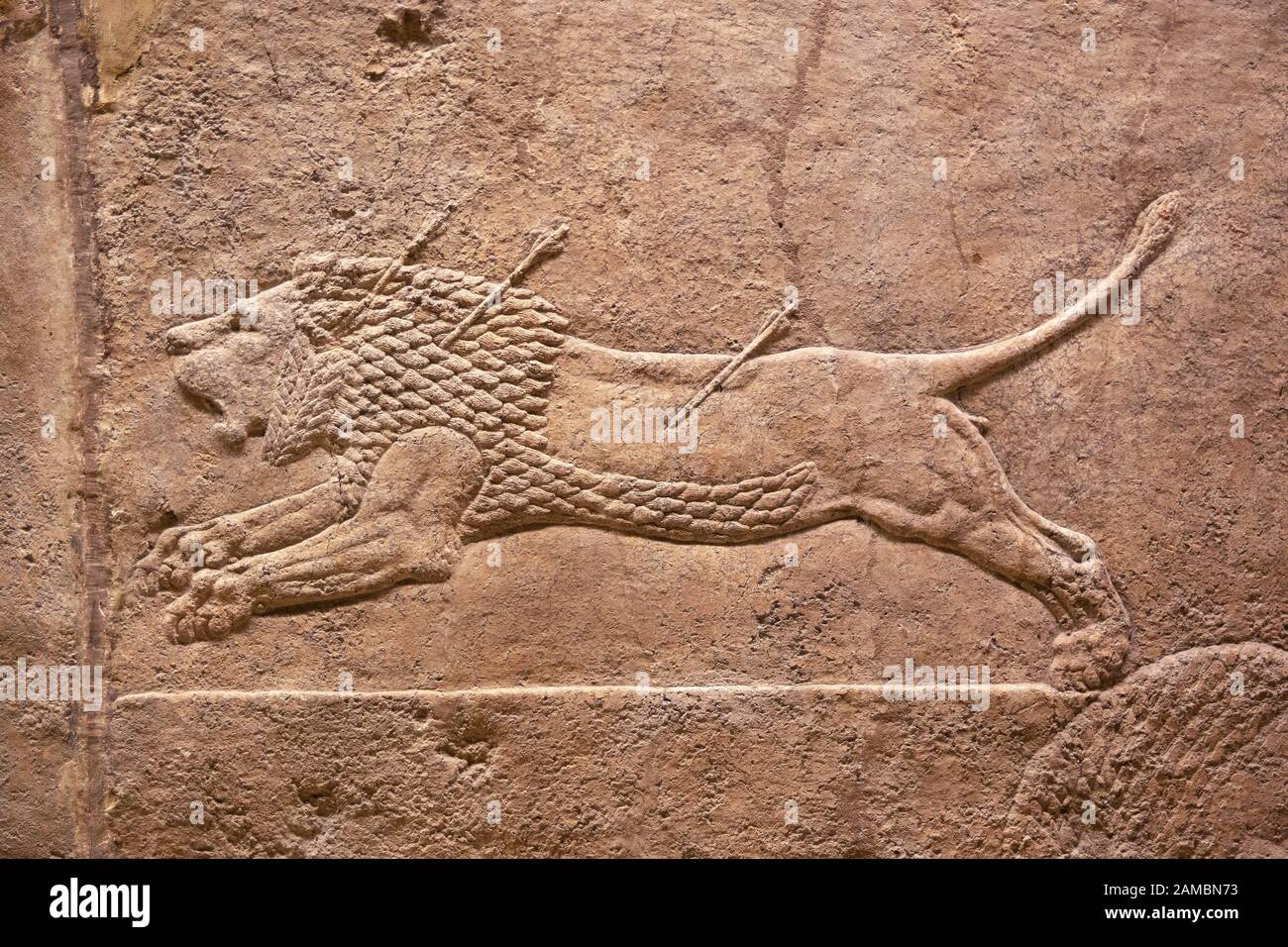 Assyrian Lion Hunt High Resolution Stock Photography and Images - Alamy