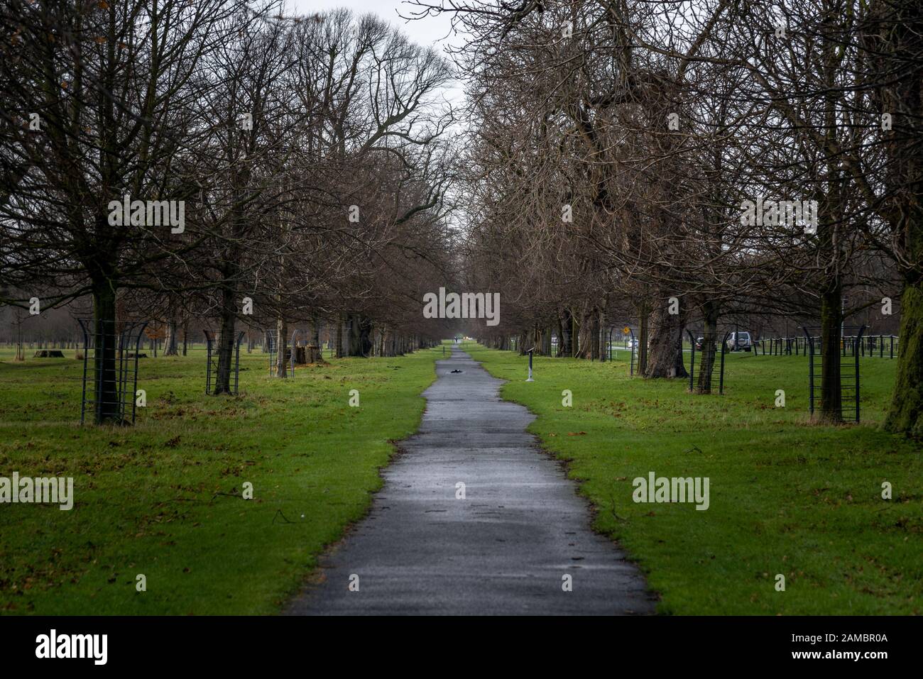 Perspective view of a park pathway where people trek and run, with ...