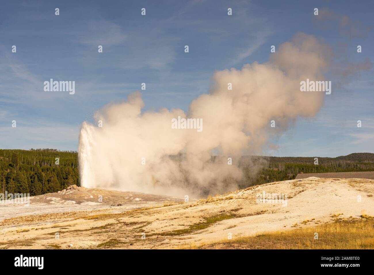 Old faithful Geyser Yellowstone Nationalpark Stock Photo - Alamy