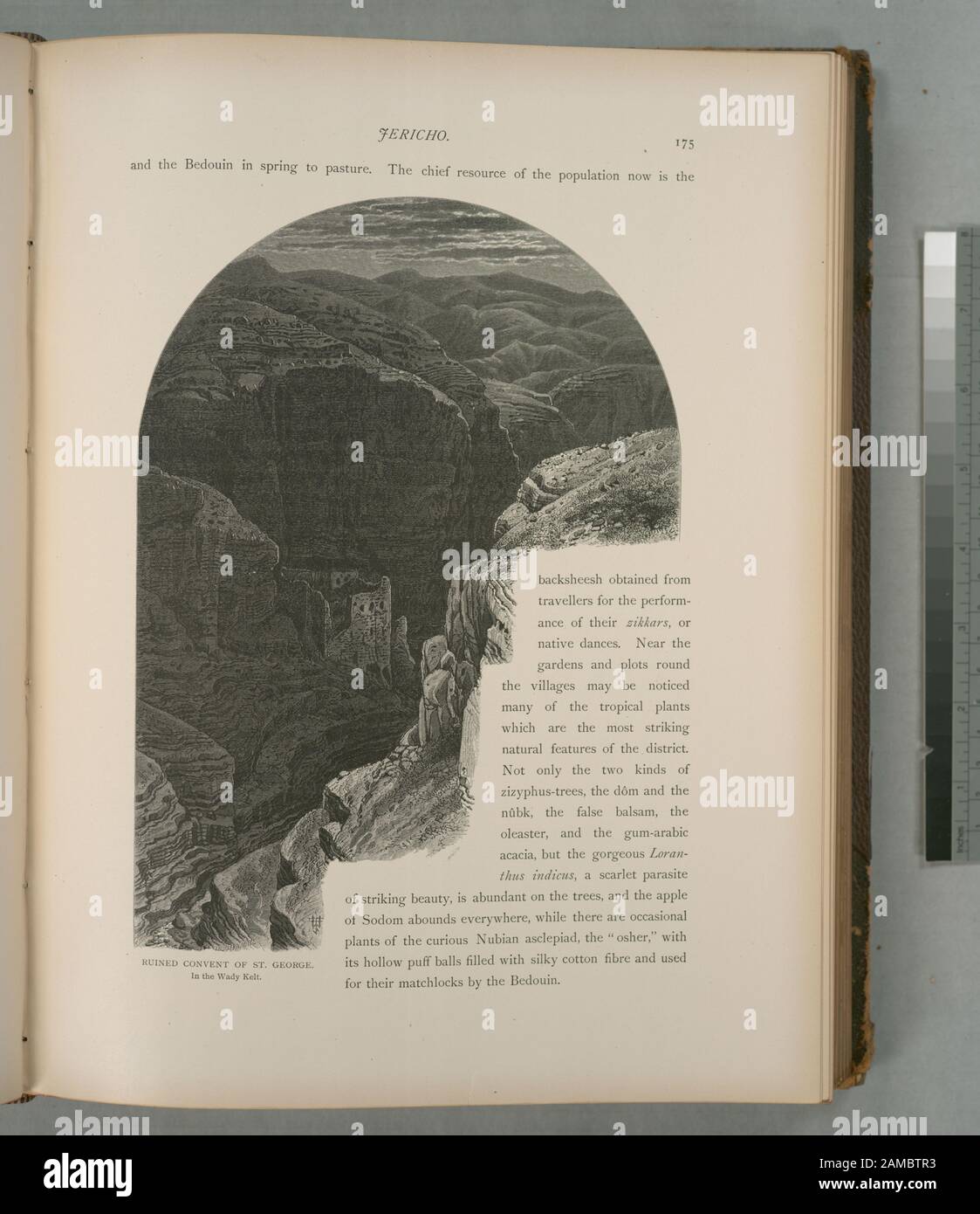 Ruined Convent of St George in the Wady Kely Colonel Wilson, ed ...