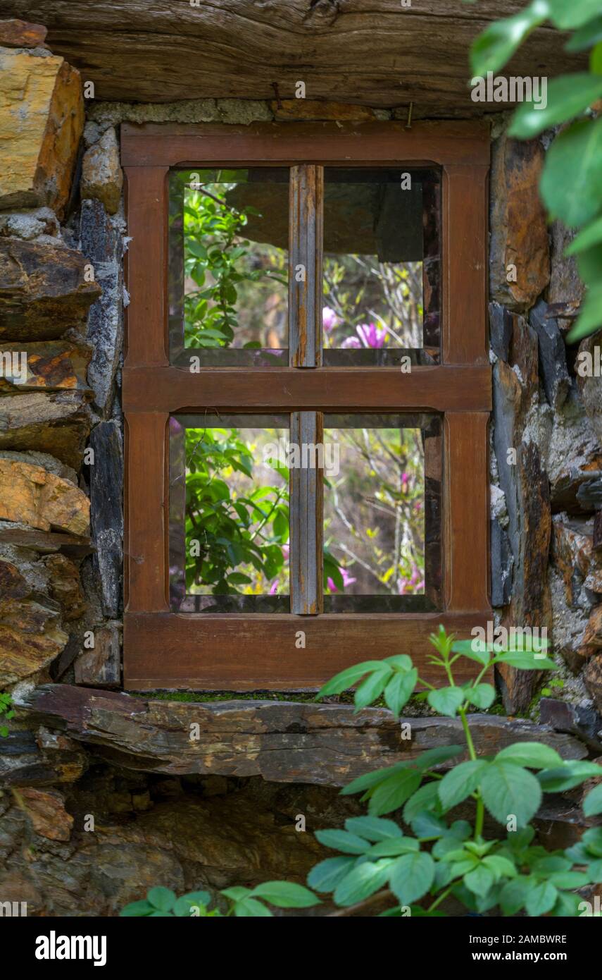 Trees reflection in window hi-res stock photography and images - Alamy