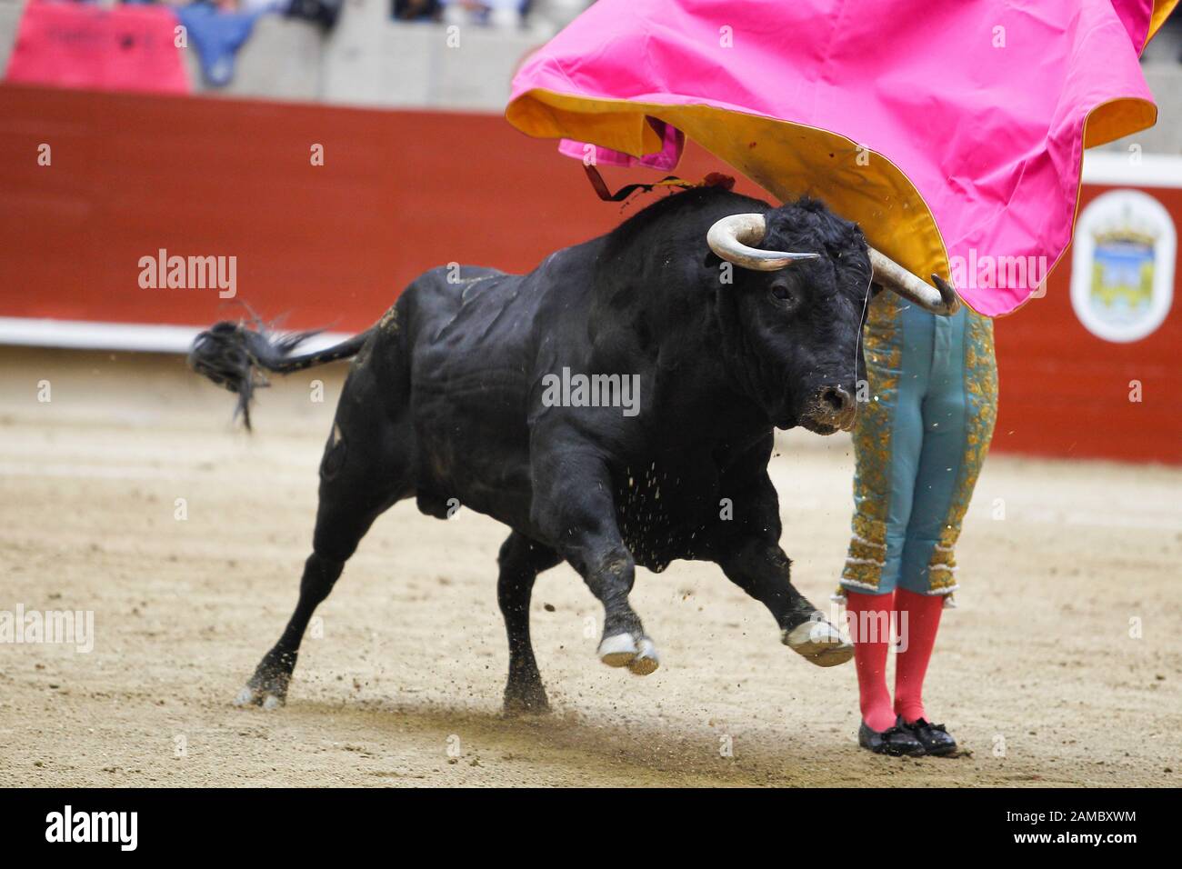 Capote bullfighter hi-res stock photography and images - Alamy