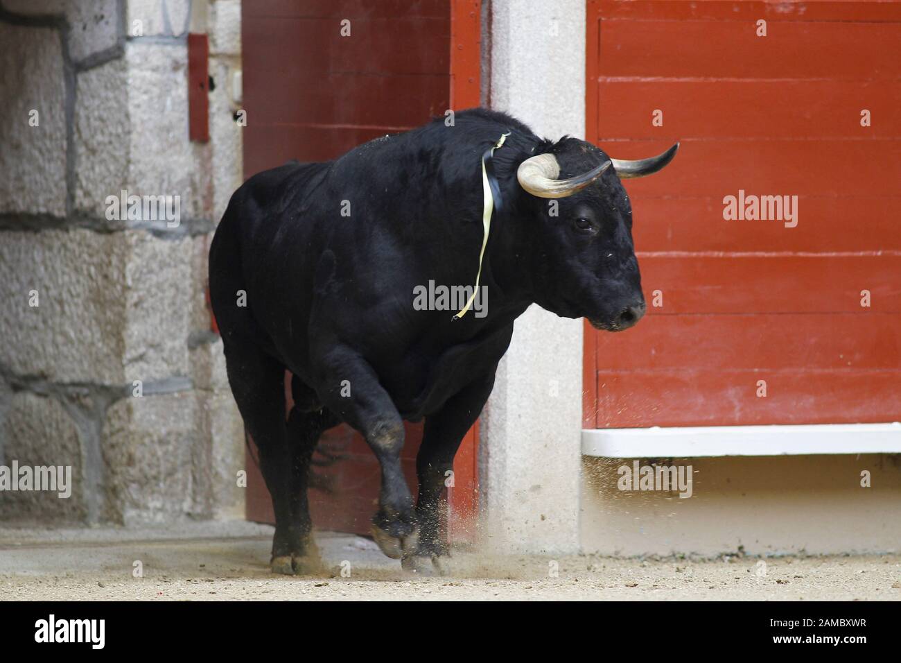 Capote bullfighter hi-res stock photography and images - Alamy