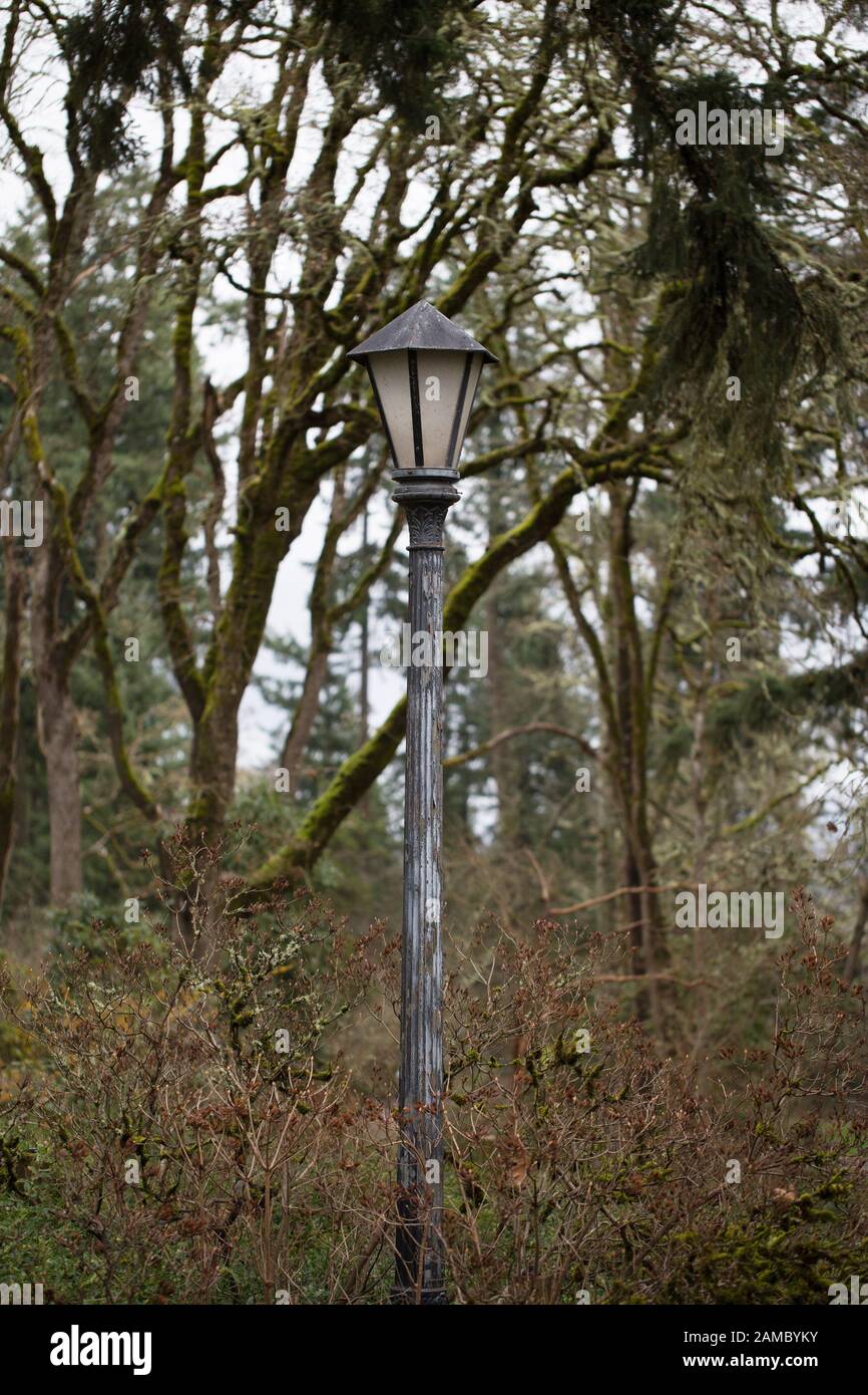 An antique streetlight at Hendricks Park in Eugene, Oregon, USA Stock ...