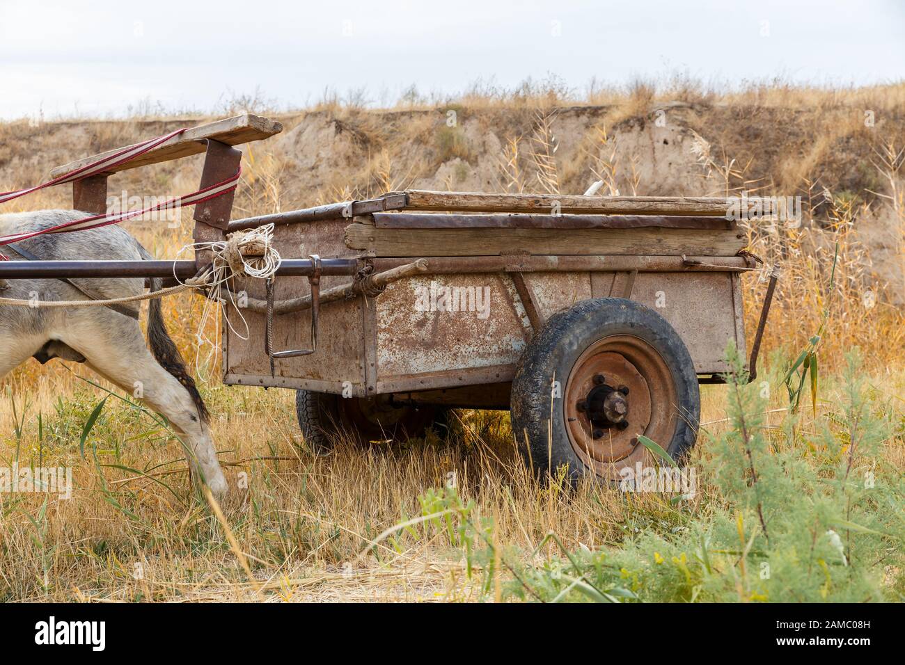 Traditional donkey carriage transport hi-res stock photography and ...