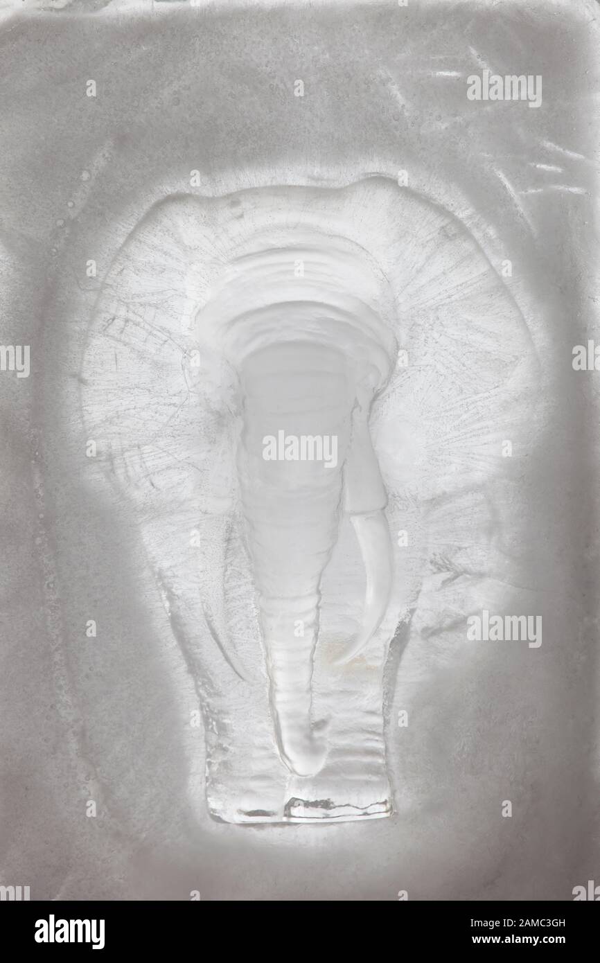 Glass elephant in frozen in ice Stock Photo - Alamy