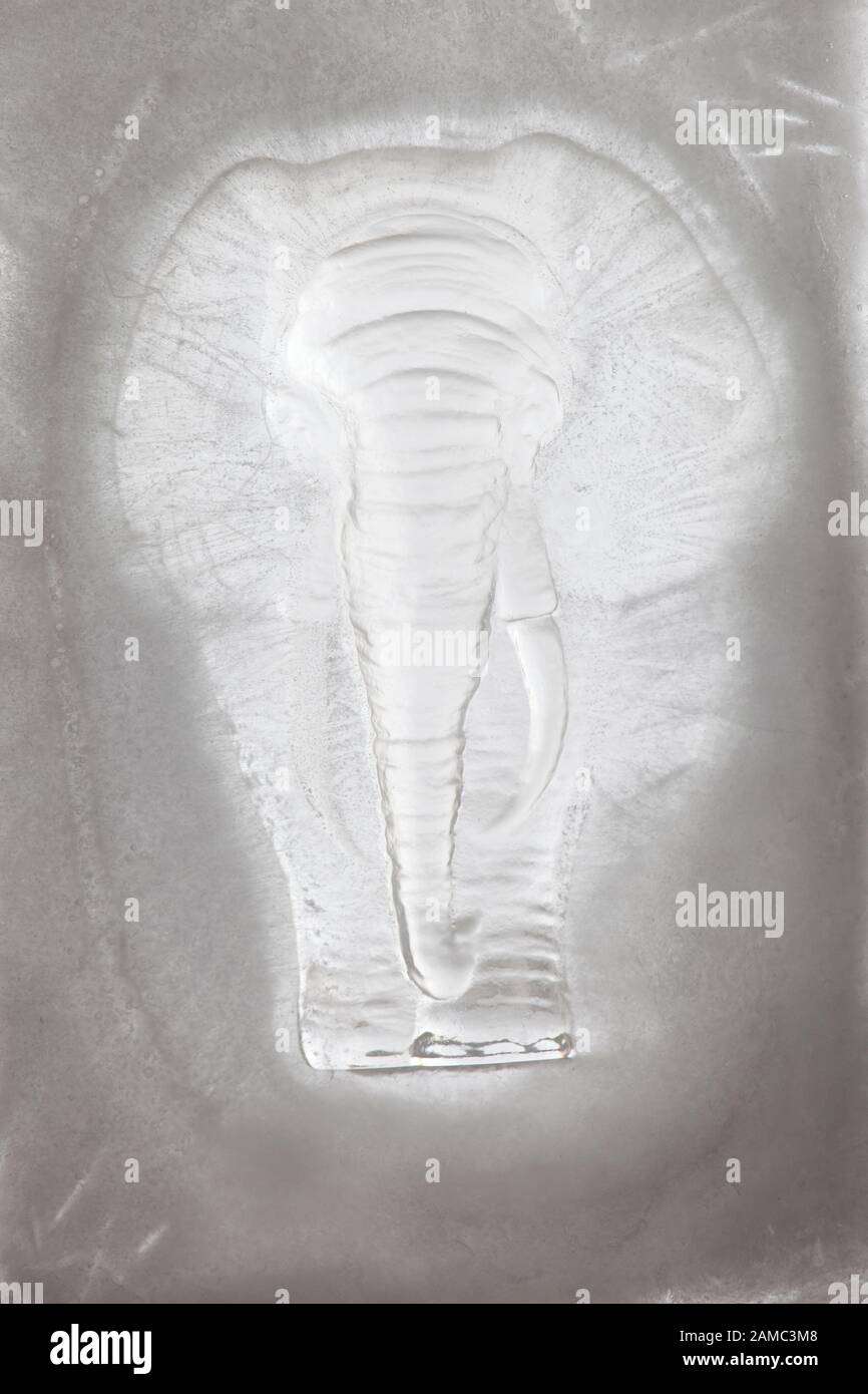Ice sculpture elephant Stock Photo - Alamy