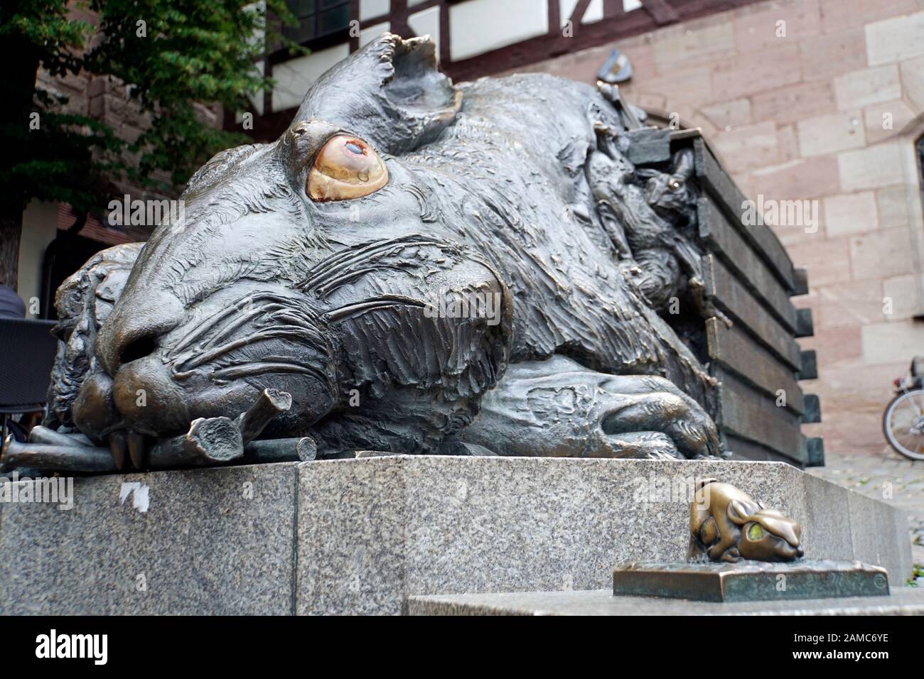 Der hase hi-res stock photography and images - Alamy