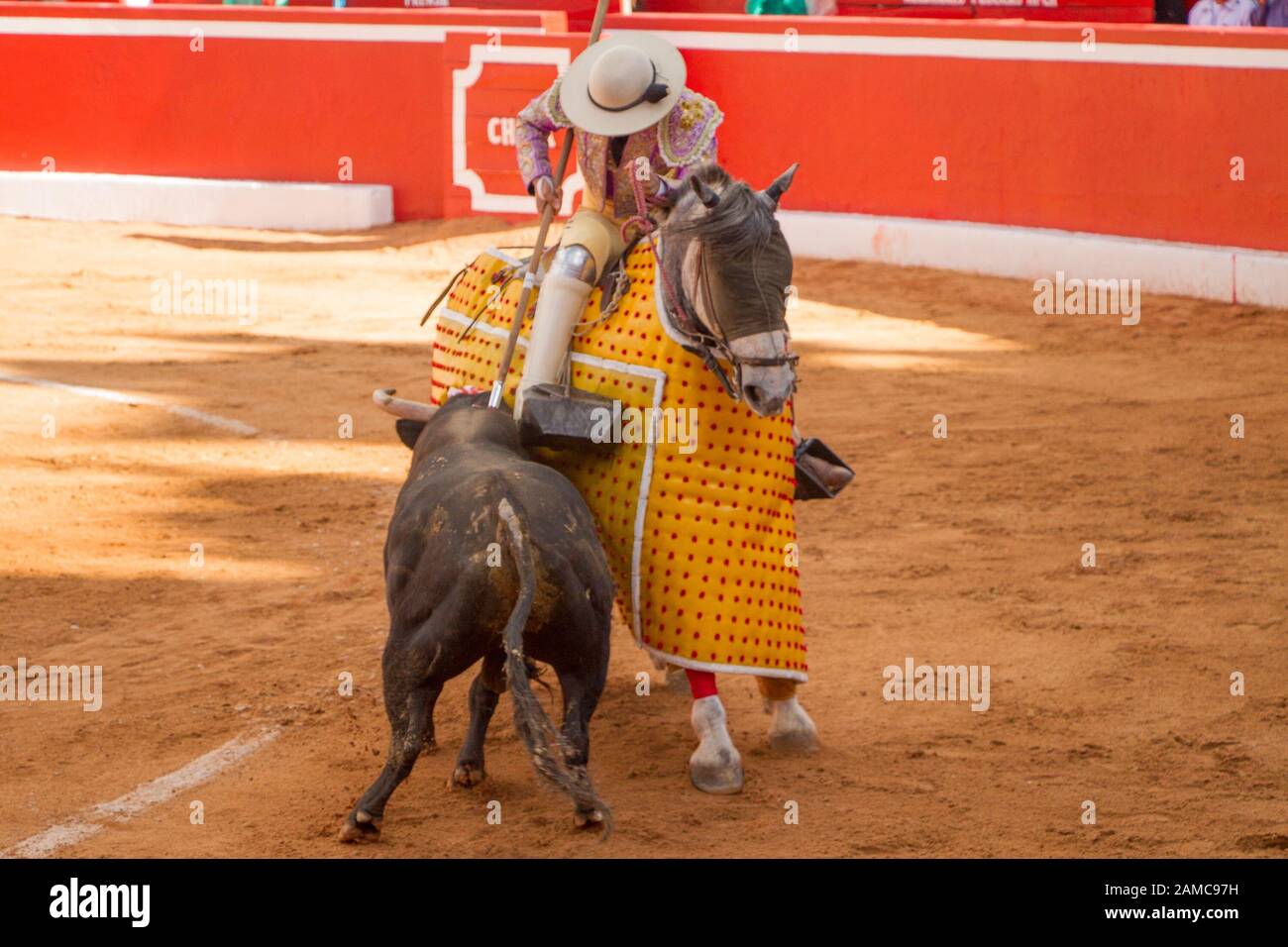 Bullfither hi-res stock photography and images - Alamy