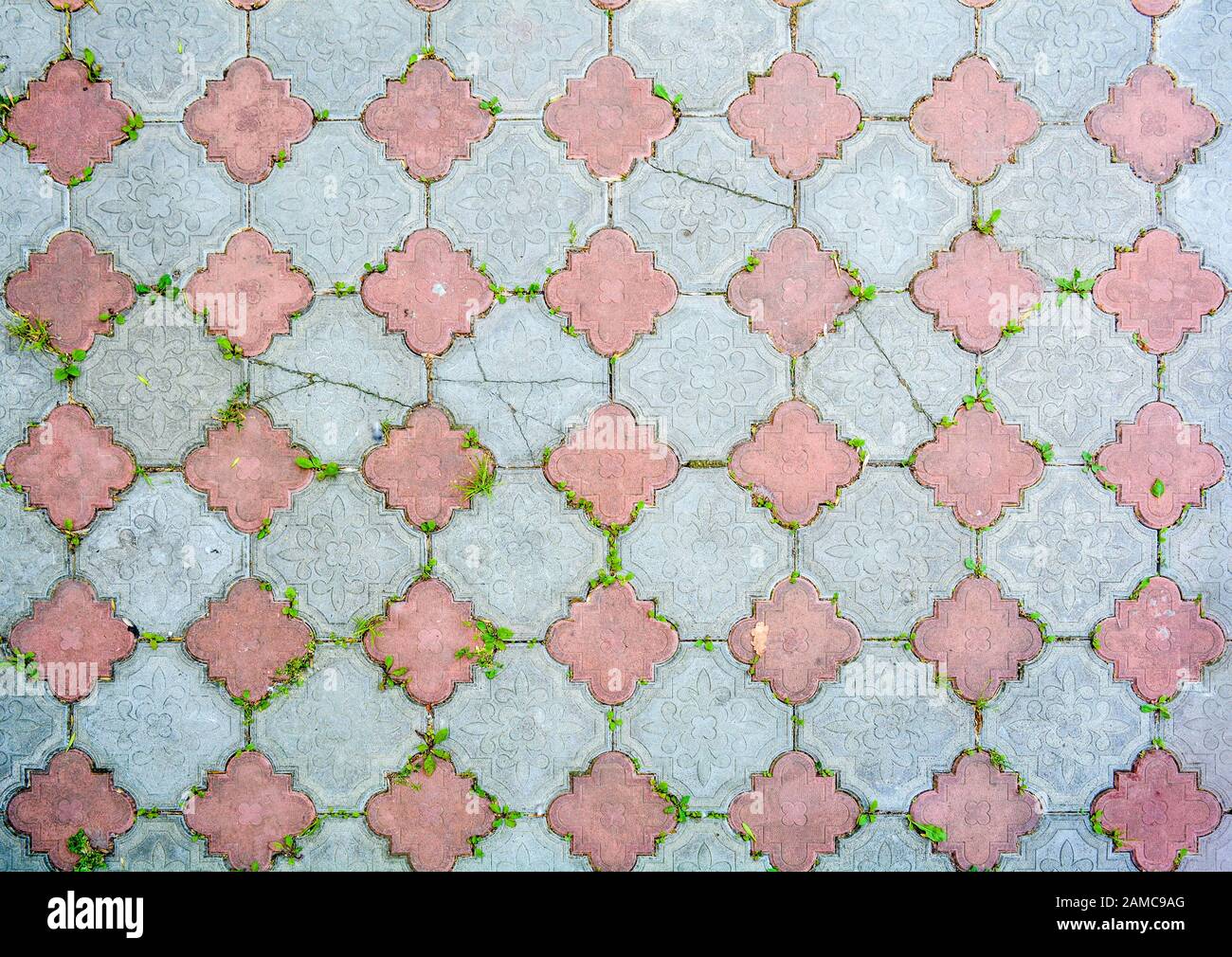 Red and gray road tiles on city street pavement with growing grass in ...