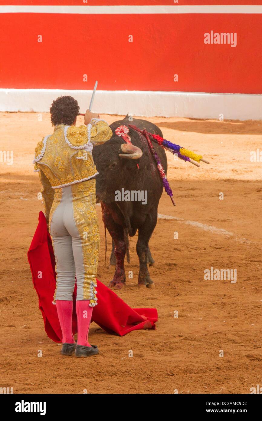 Bullfighting thing hi-res stock photography and images - Alamy