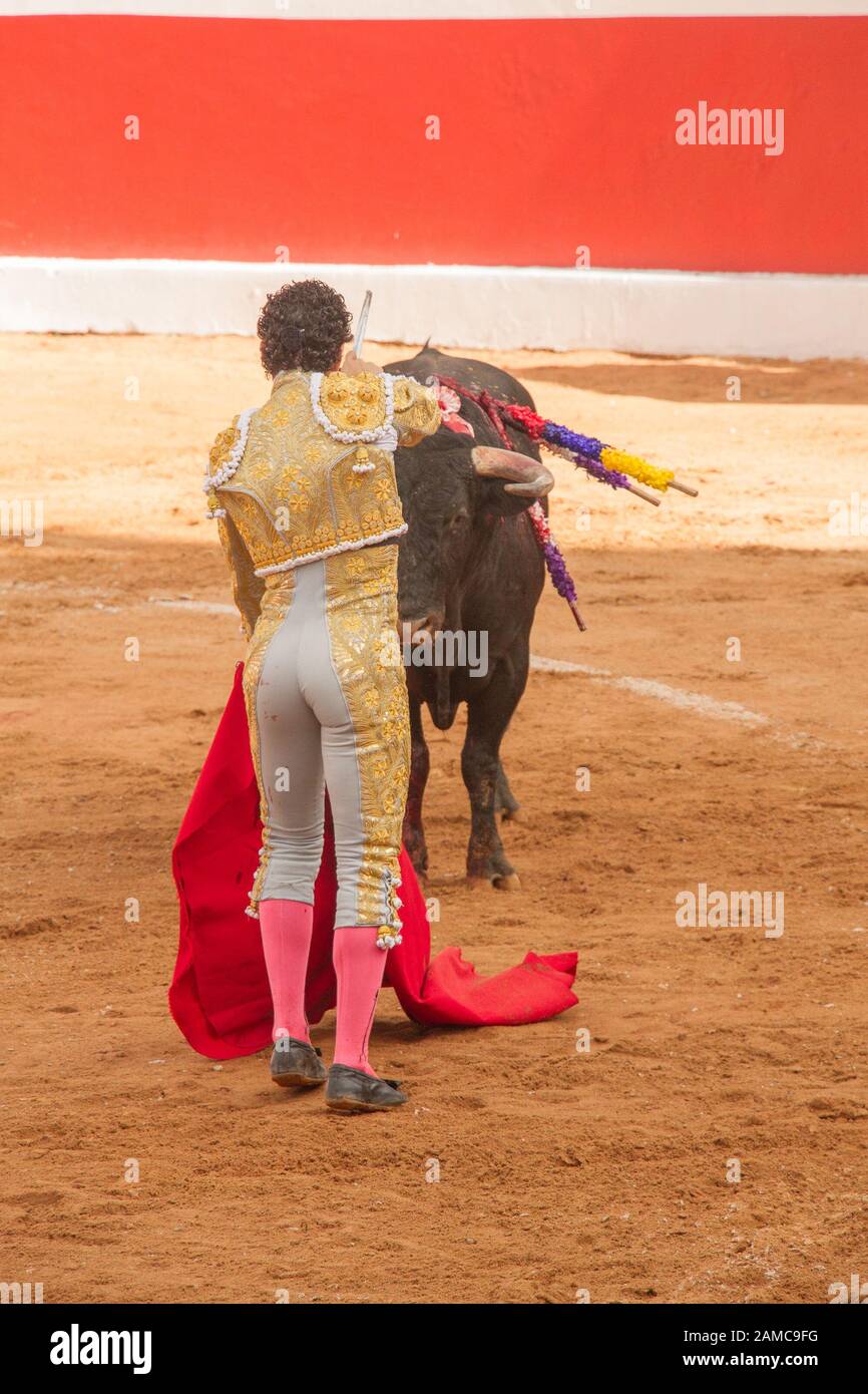 Bullfighting thing hi-res stock photography and images - Alamy