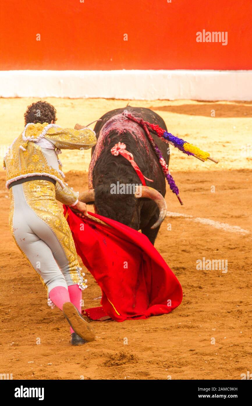 Bullfighting thing hi-res stock photography and images - Alamy