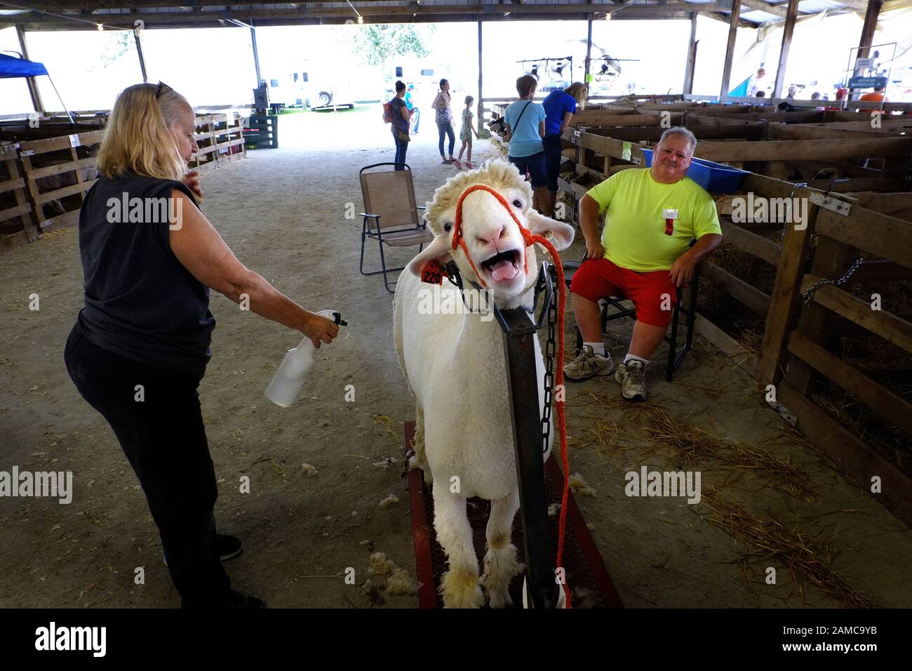 Animal Fair High Resolution Stock Photography and Images - Alamy