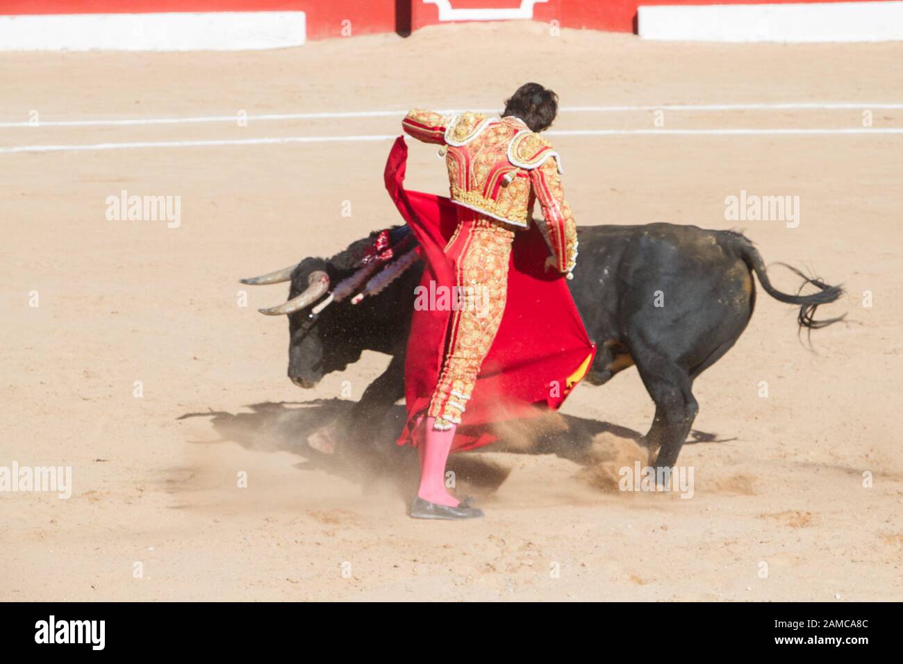 Bullfighter doing work hi-res stock photography and images - Alamy