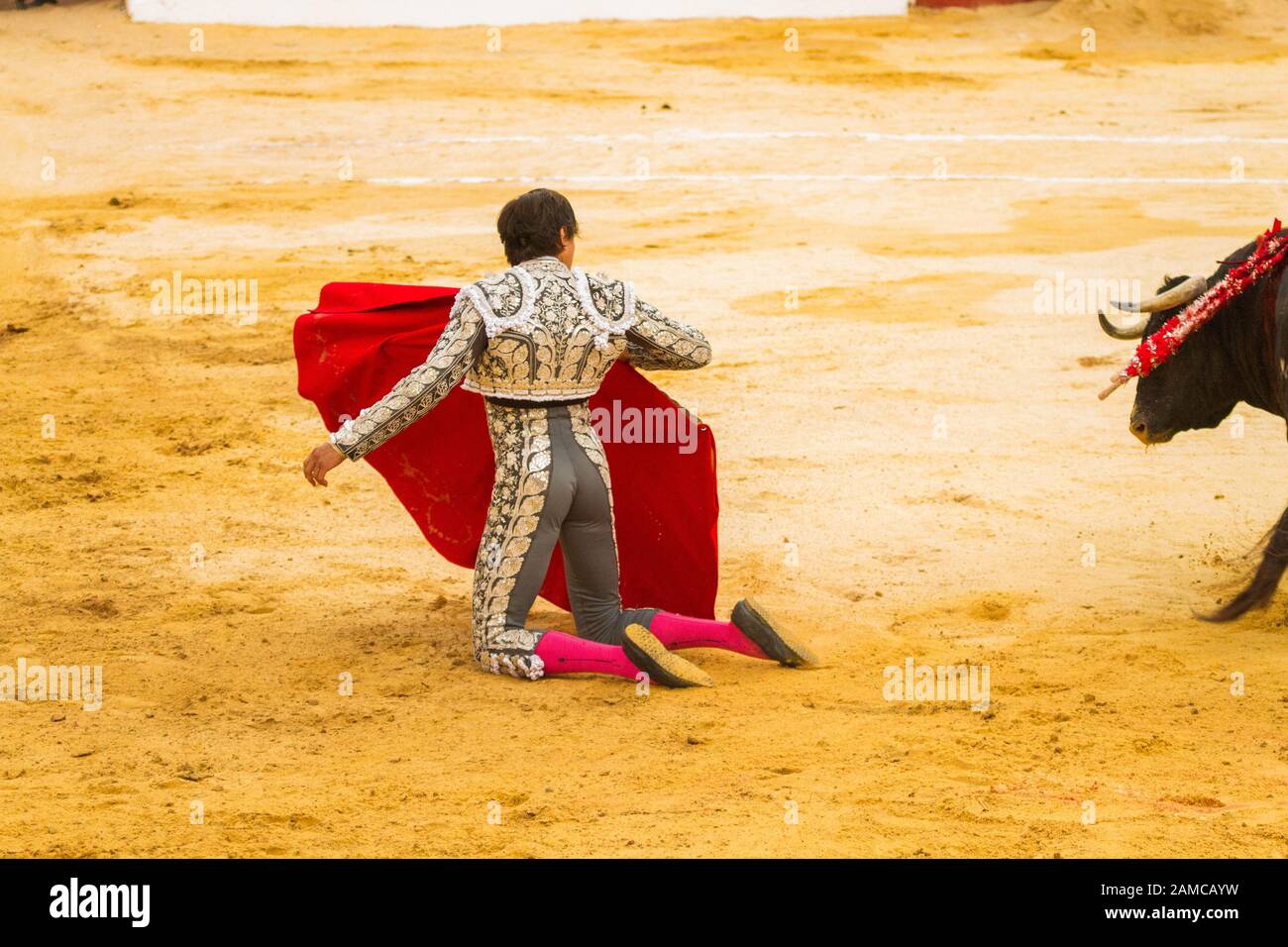 Bullfighting thing hi-res stock photography and images - Alamy
