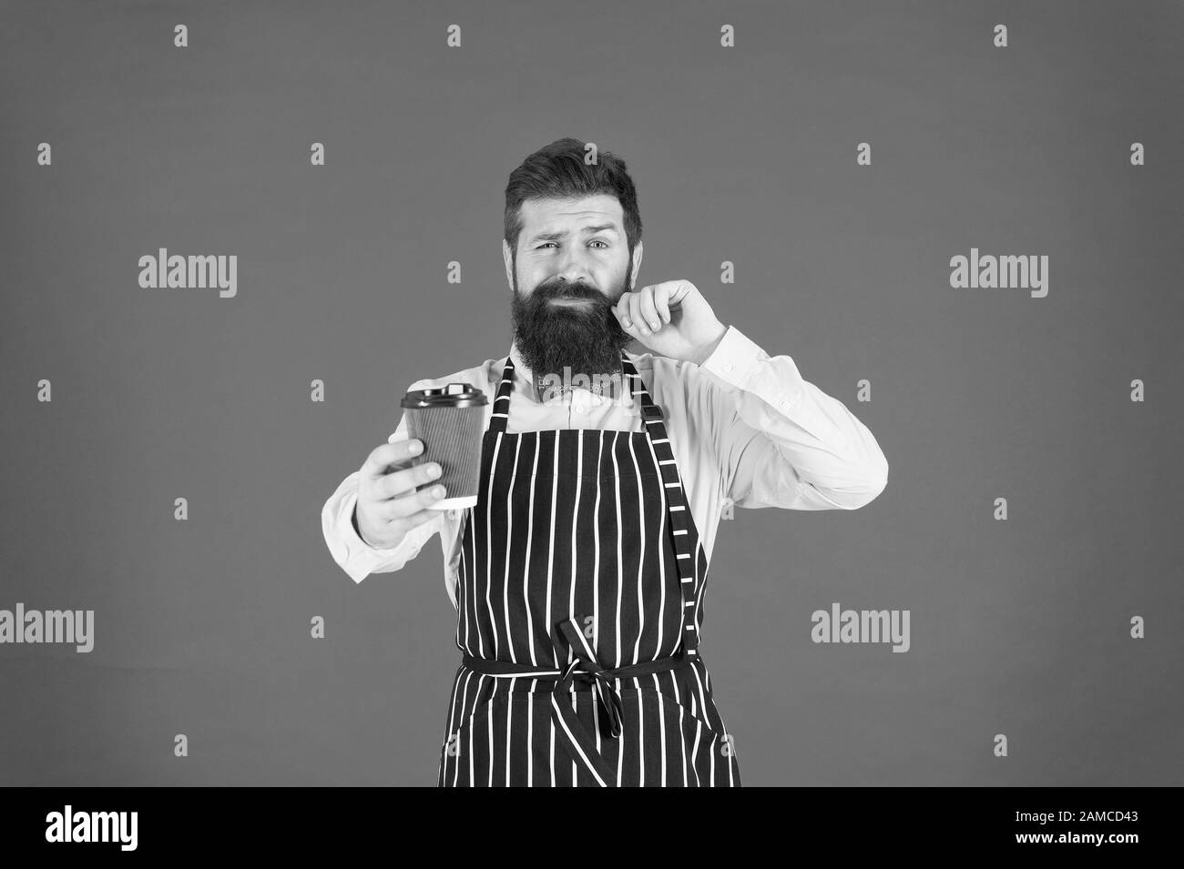 retro coffee house. mature man red background. skilled servant. barista ...