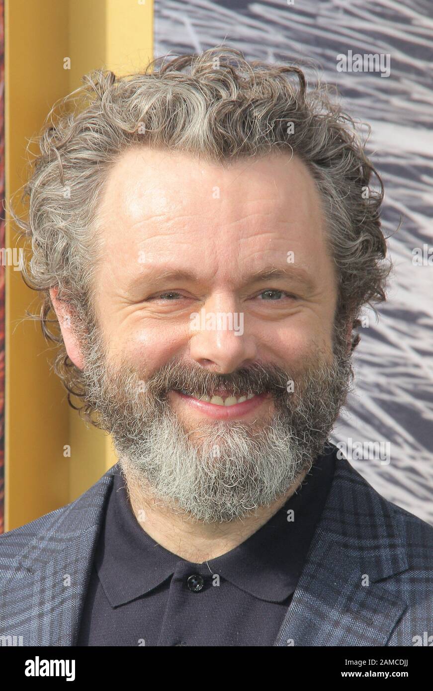 Los Angeles, USA. 11th Jan, 2020. Michael Sheen 01/11/2020 The Premiere ...