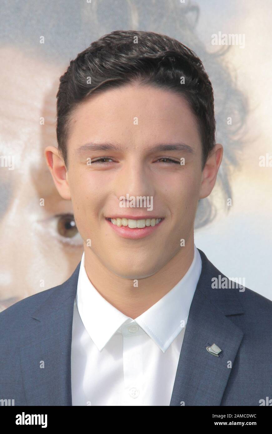 Los Angeles, USA. 11th Jan, 2020. Harry Collett 01/11/2020 The Premiere ...