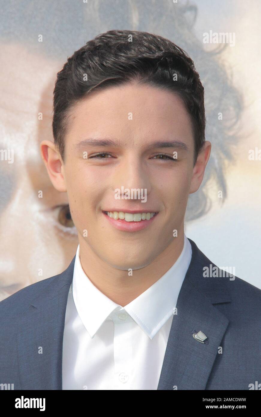 Los Angeles, USA. 11th Jan, 2020. Harry Collett 01/11/2020 The Premiere ...