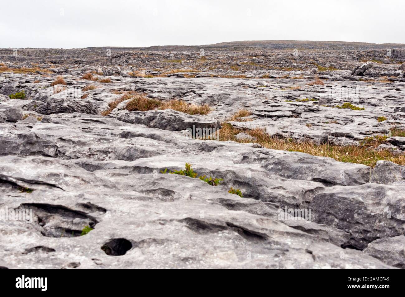 The Burren, County Clare, Ireland Stock Photo - Alamy