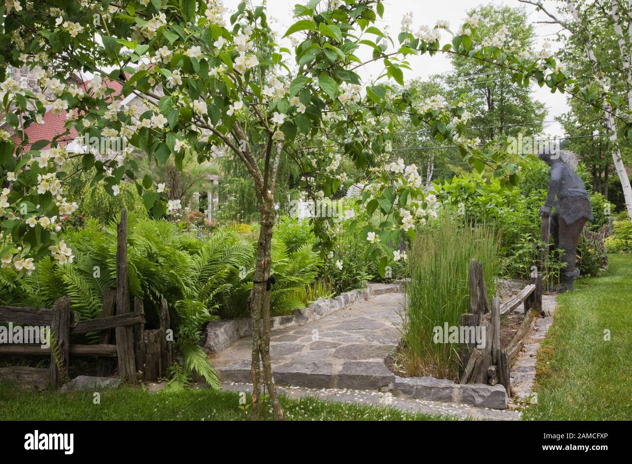 Flowering fruit tree and raised grey stone border planted with ...