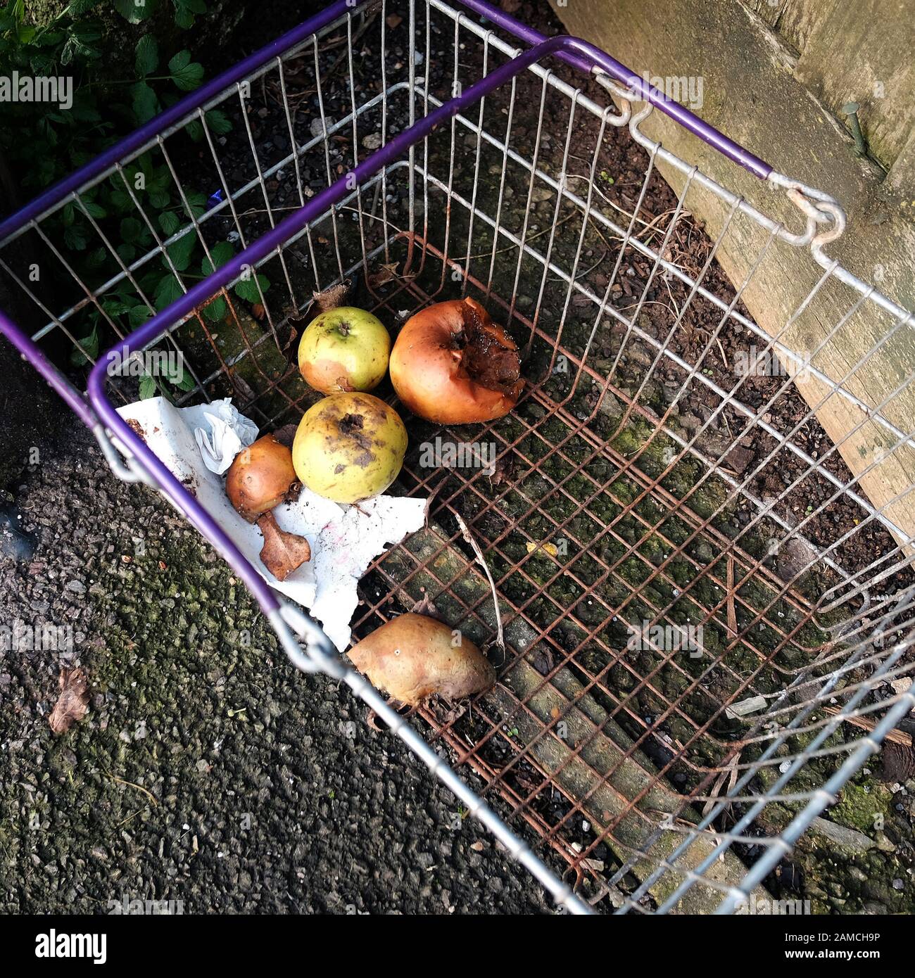 Apple basket rotten hi-res stock photography and images - Alamy