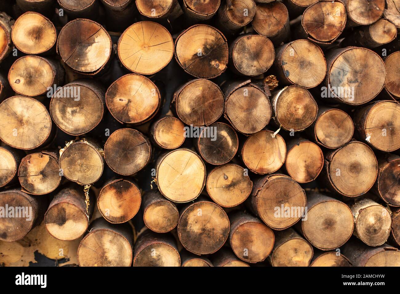 Round split logs piled in rows wood texture Stock Photo - Alamy