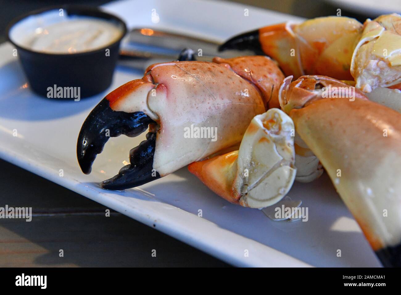 Florida stone crab hi-res stock photography and images - Alamy
