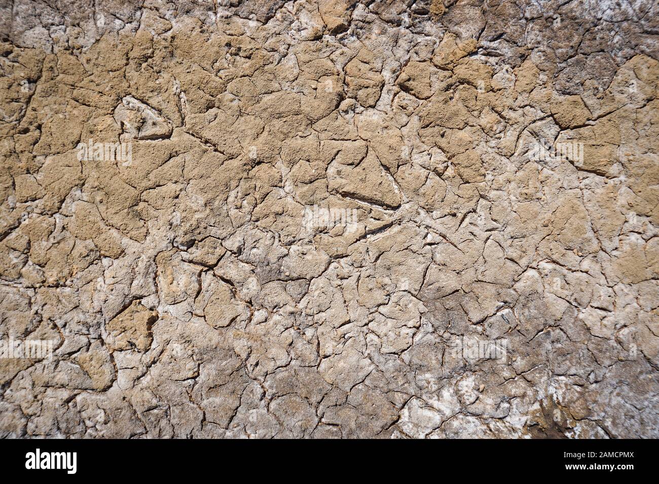 Birds footprints in the dry mud hi-res stock photography and images - Alamy