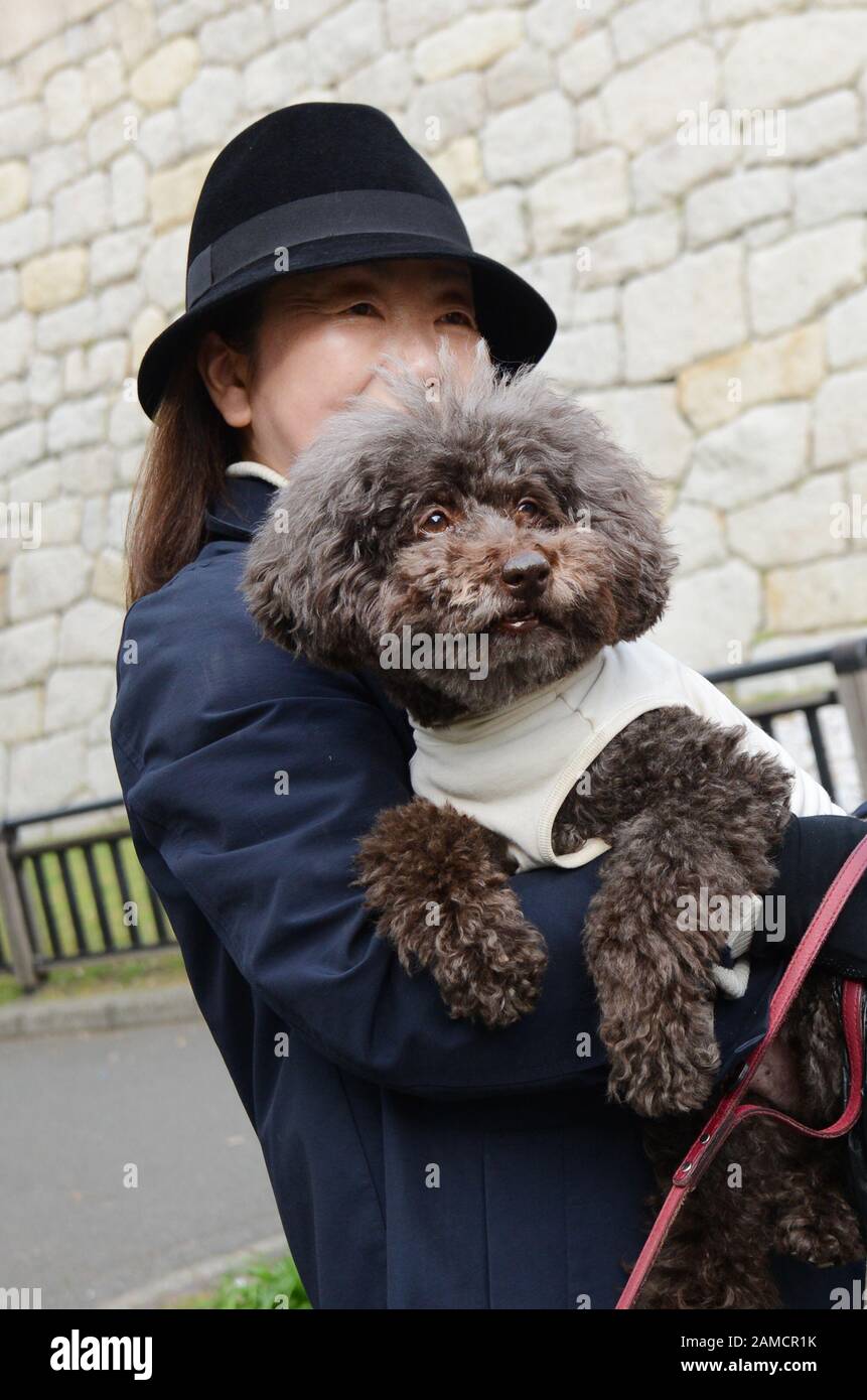 Japanese woman with pet dog hi-res stock photography and images - Alamy