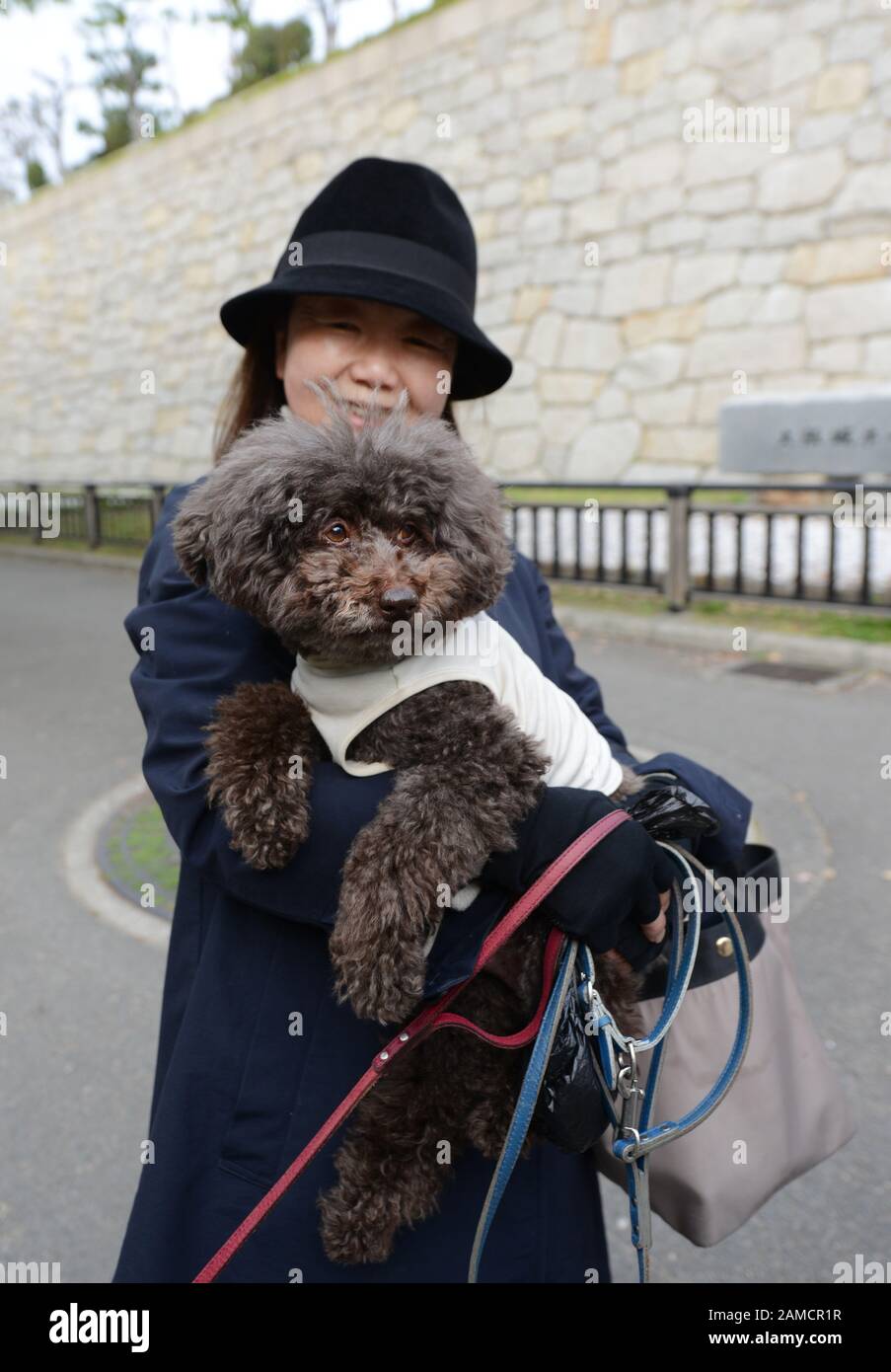 Japanese woman with pet dog hi-res stock photography and images - Alamy