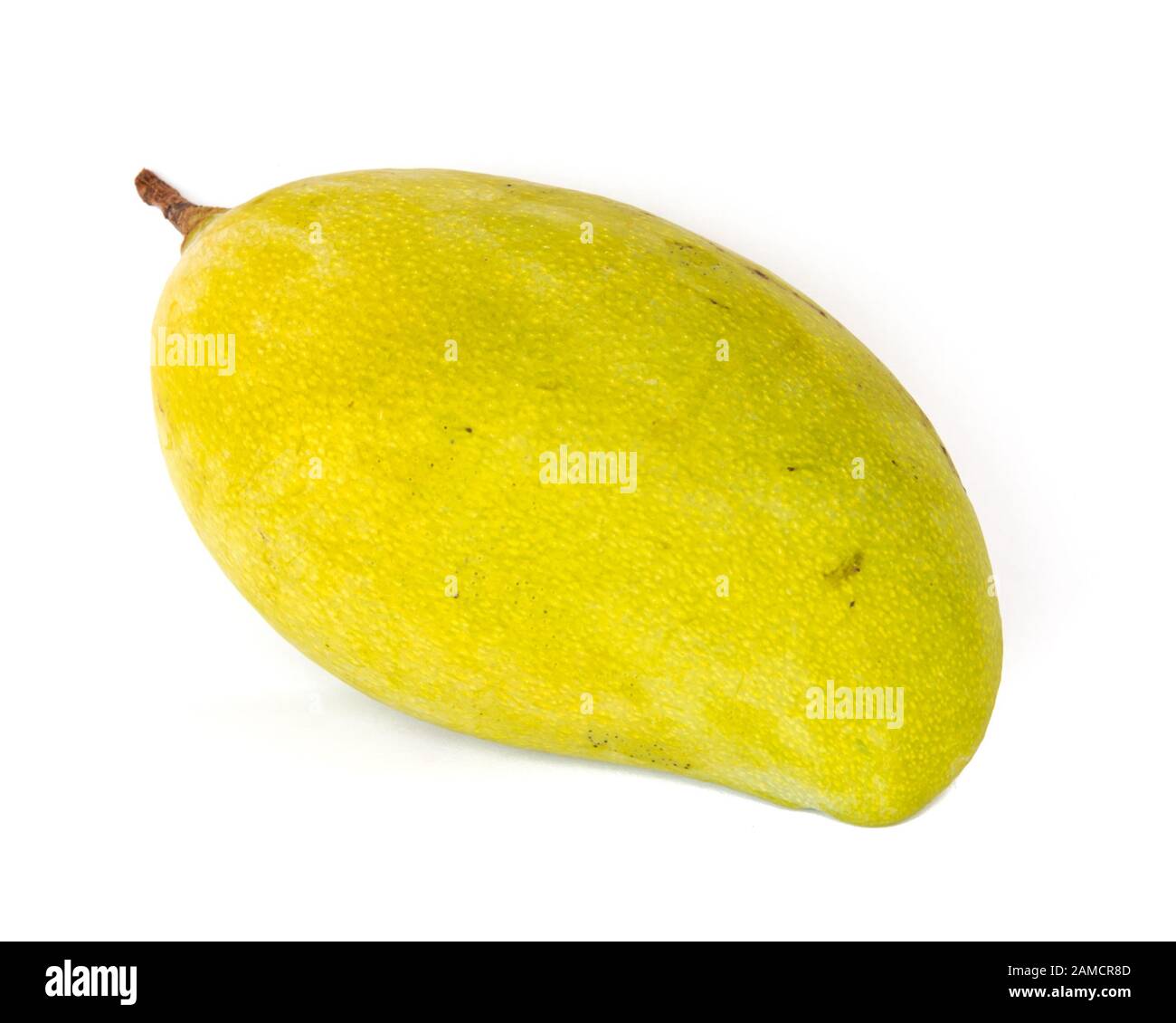 Studio shot one homegrown Asian mango isolated on white Stock Photo - Alamy