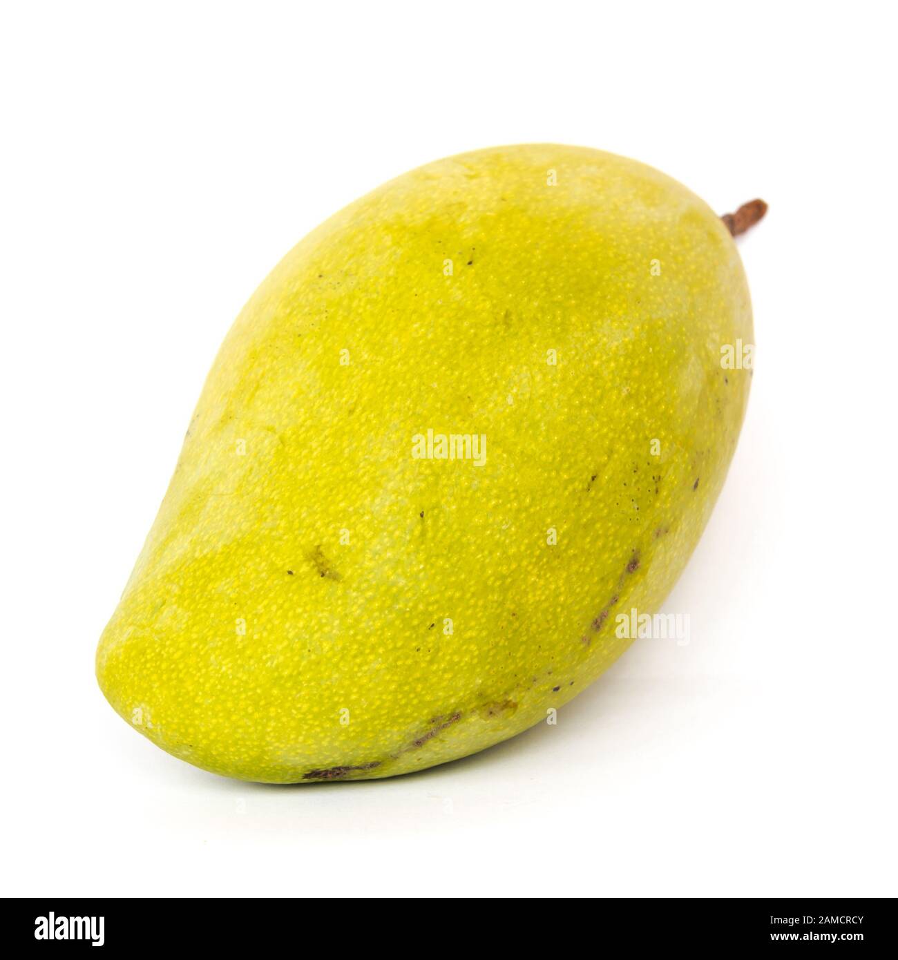 Studio shot one homegrown Asian mango isolated on white Stock Photo - Alamy