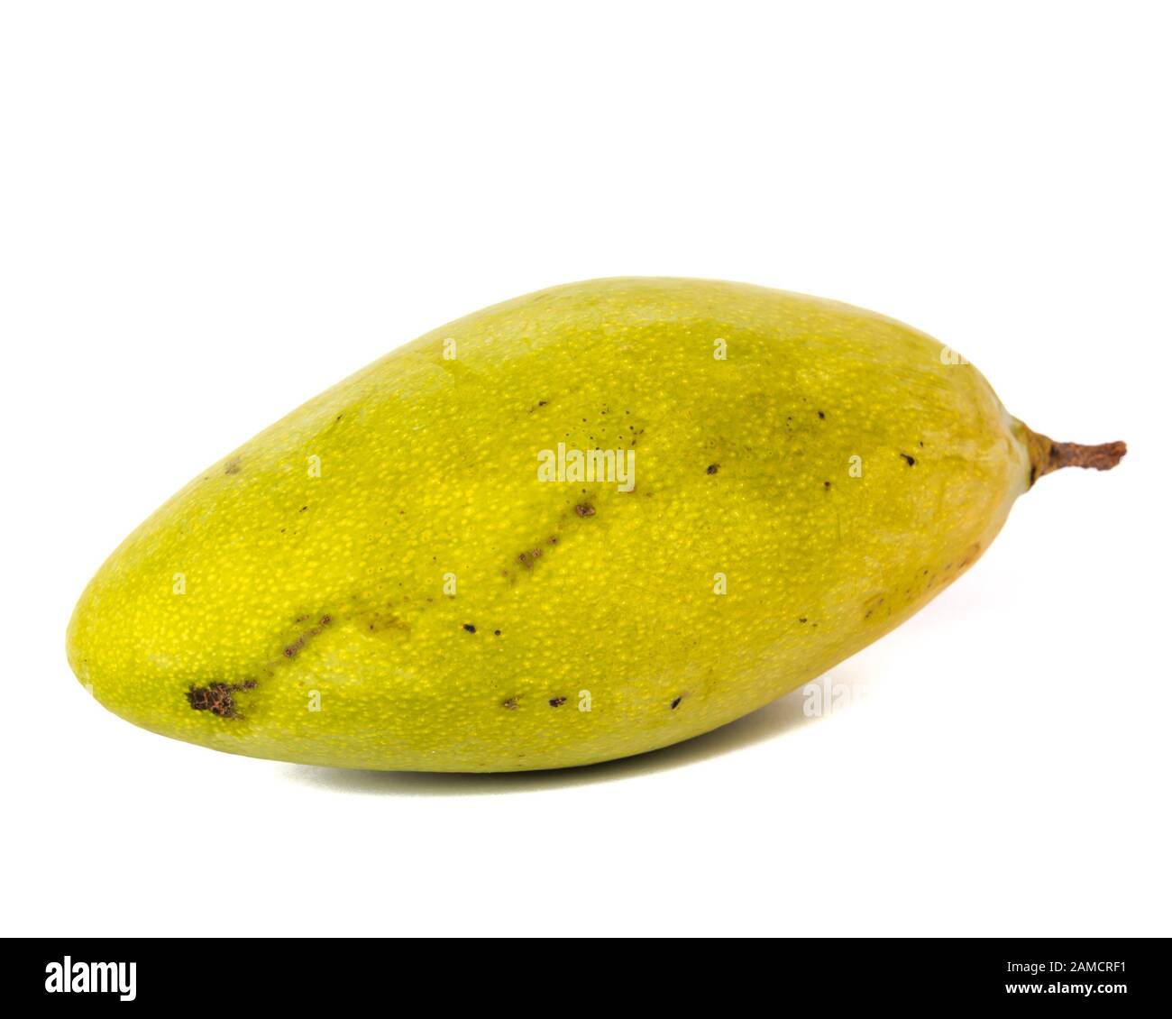 Studio shot one homegrown Asian mango isolated on white Stock Photo - Alamy