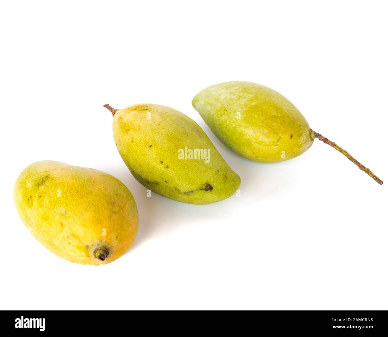 Studio shot three homegrown Asian mango isolated on white Stock Photo ...