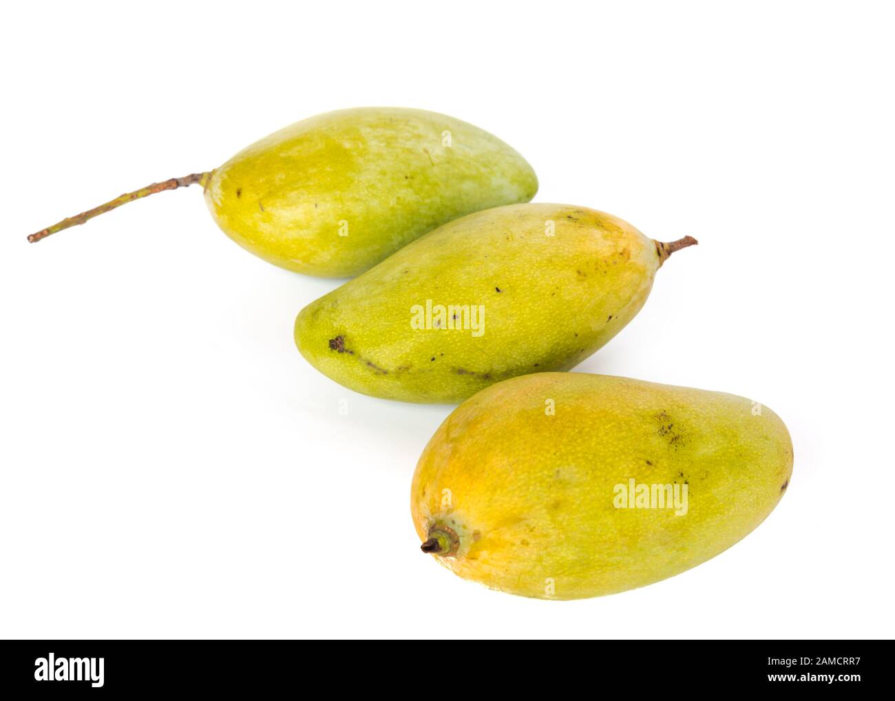 Studio shot three homegrown Asian mango isolated on white Stock Photo ...