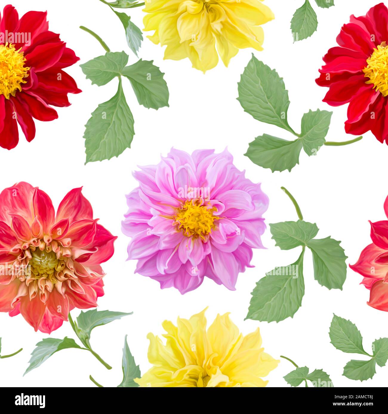 seamless pattern of dahlia flowers on white background Stock Photo - Alamy