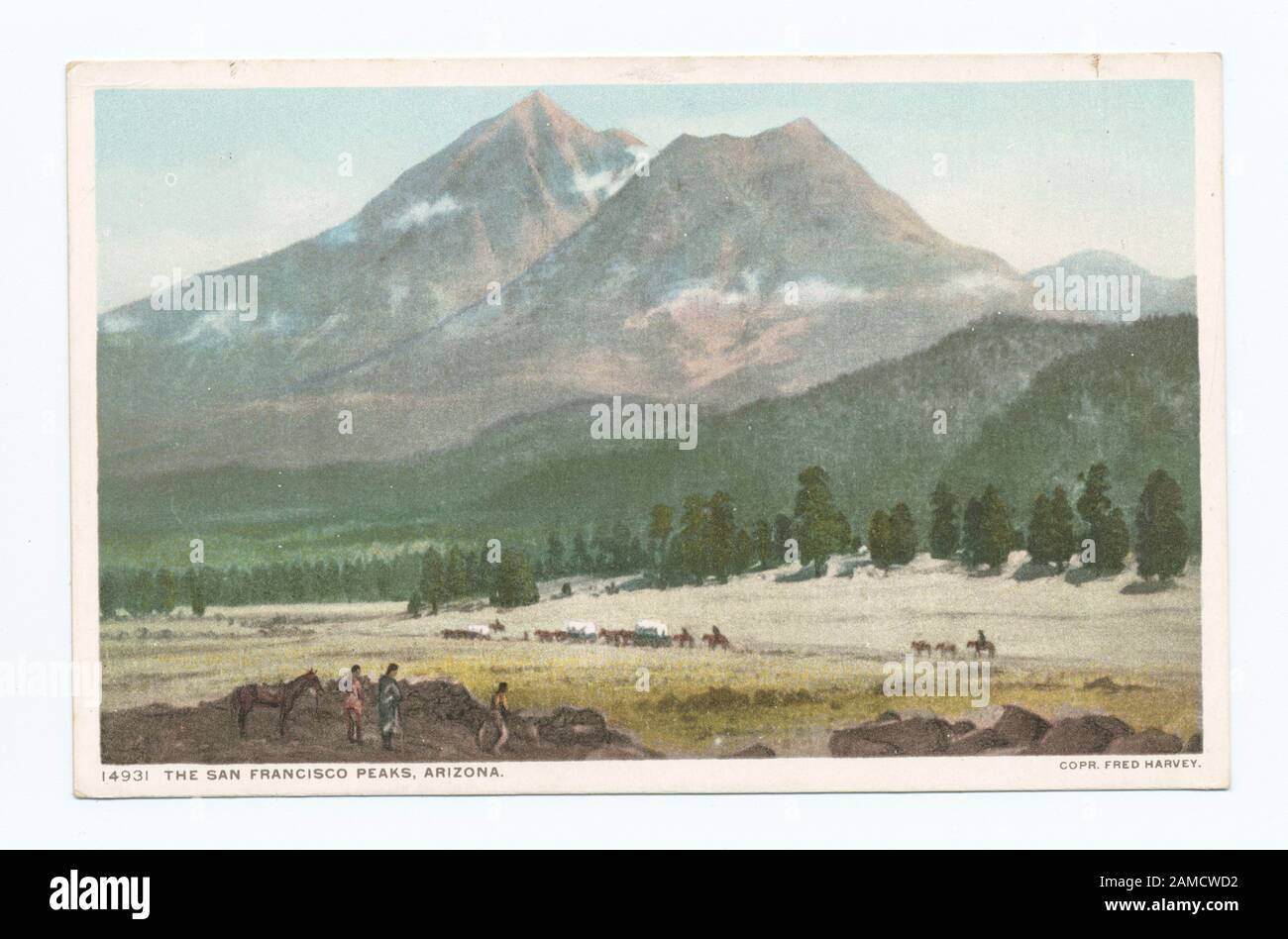 San Francisco Peaks, Flagstaff, Ariz Postcard series number: 14931 1905 ...