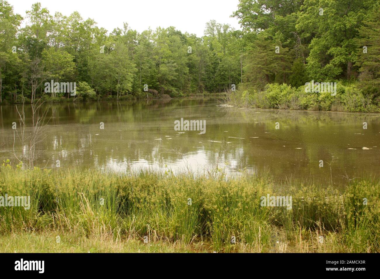 Central virginia photography hi-res stock photography and images - Alamy