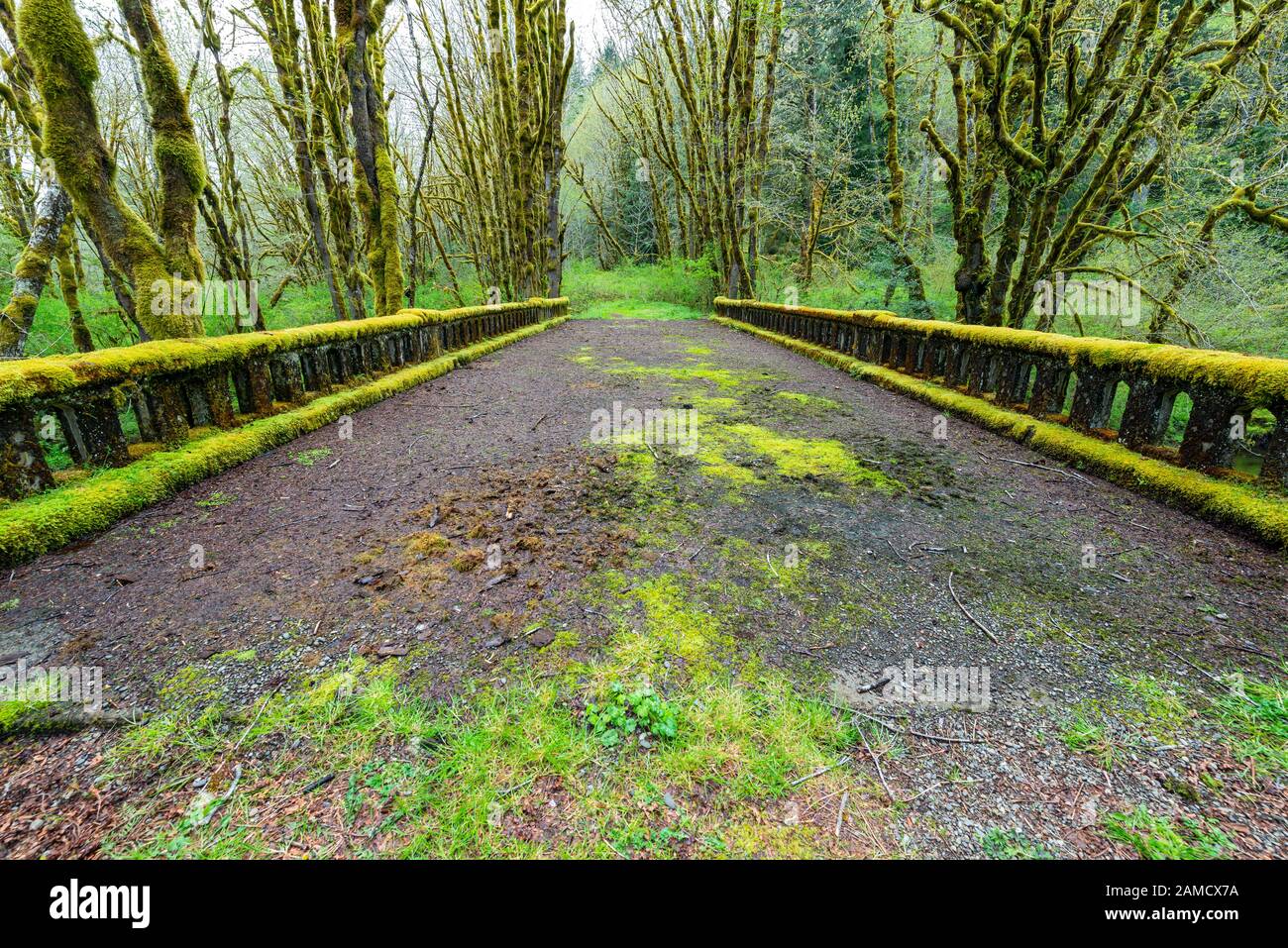 Moss Covered Bridge High Resolution Stock Photography and Images - Alamy