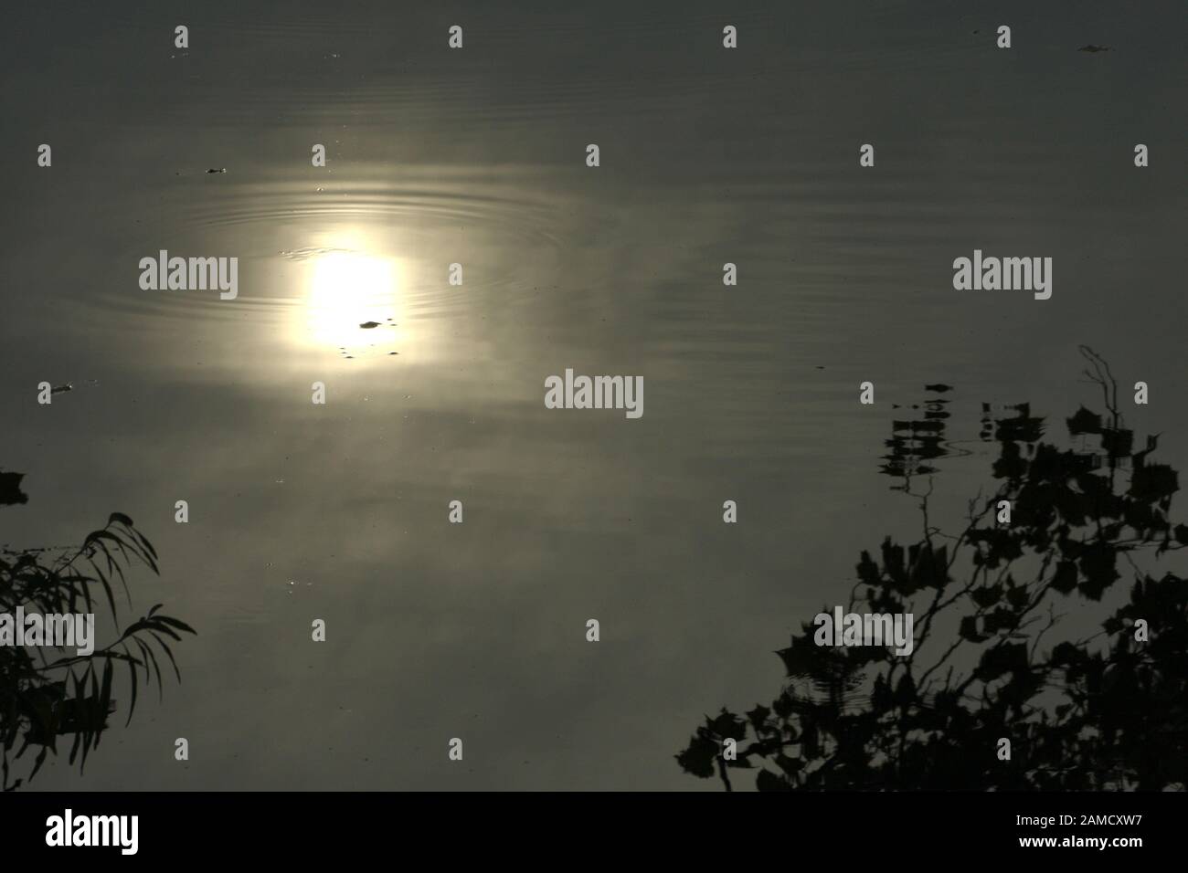Suns reflection in river hi-res stock photography and images - Alamy