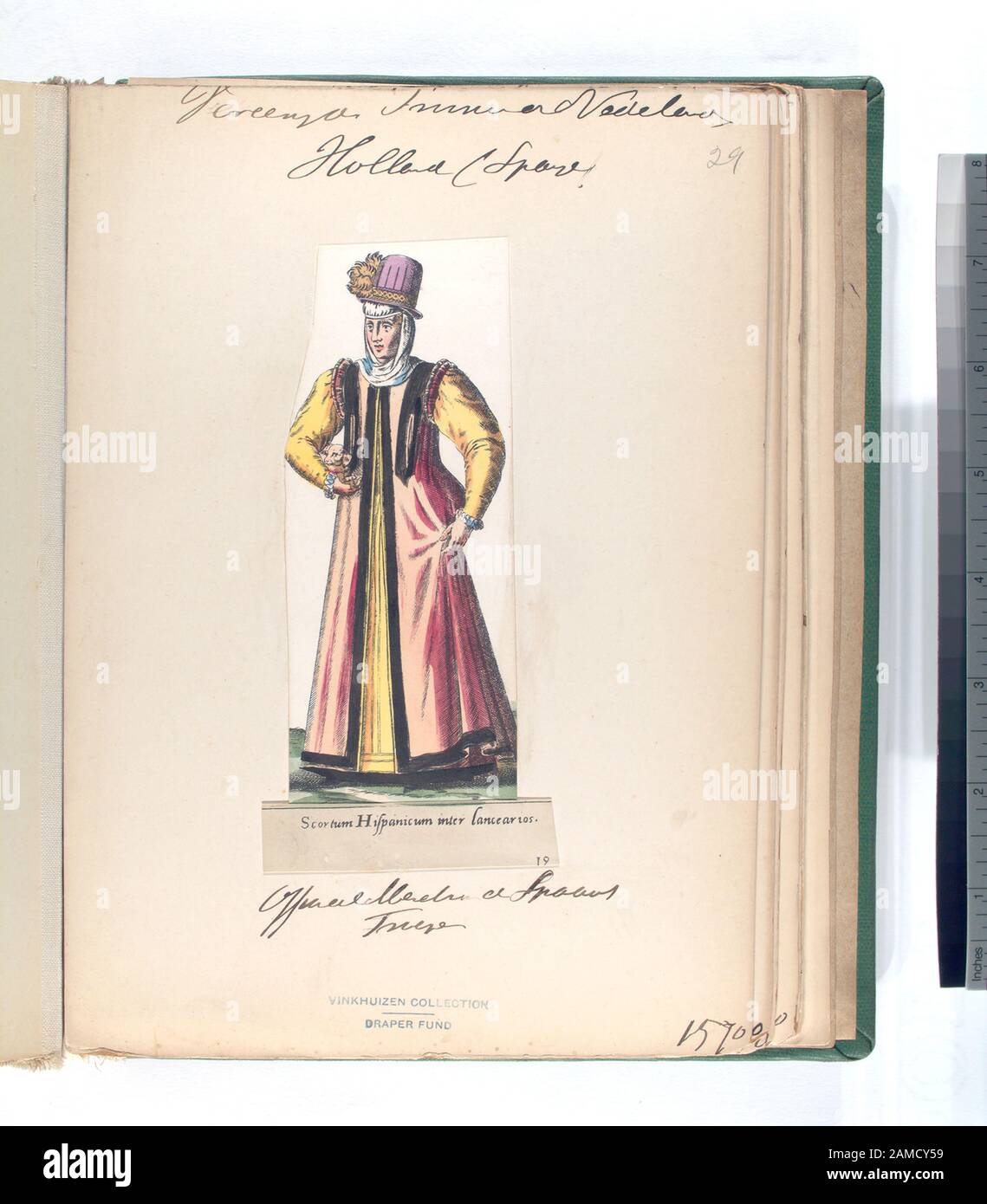 Scortum hi-res stock photography and images - Alamy