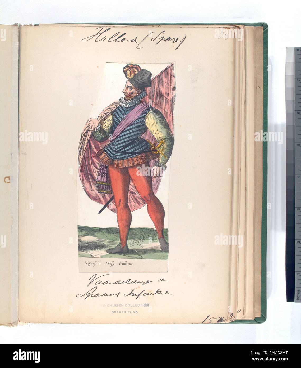 Signiferi hi-res stock photography and images - Alamy