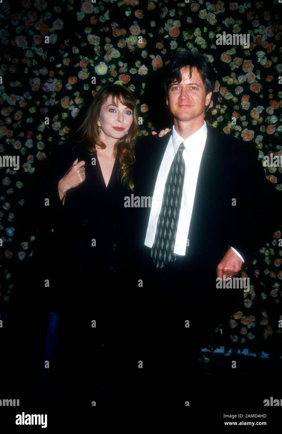 Cassandra peterson aka elvira hi-res stock photography and images - Alamy