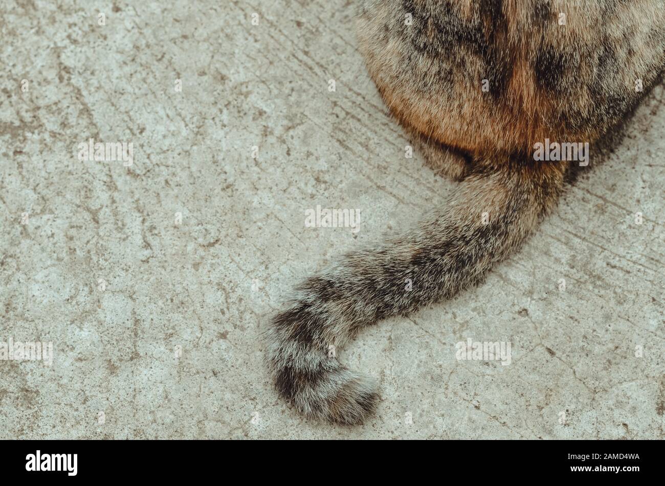 Partial body hi-res stock photography and images - Alamy